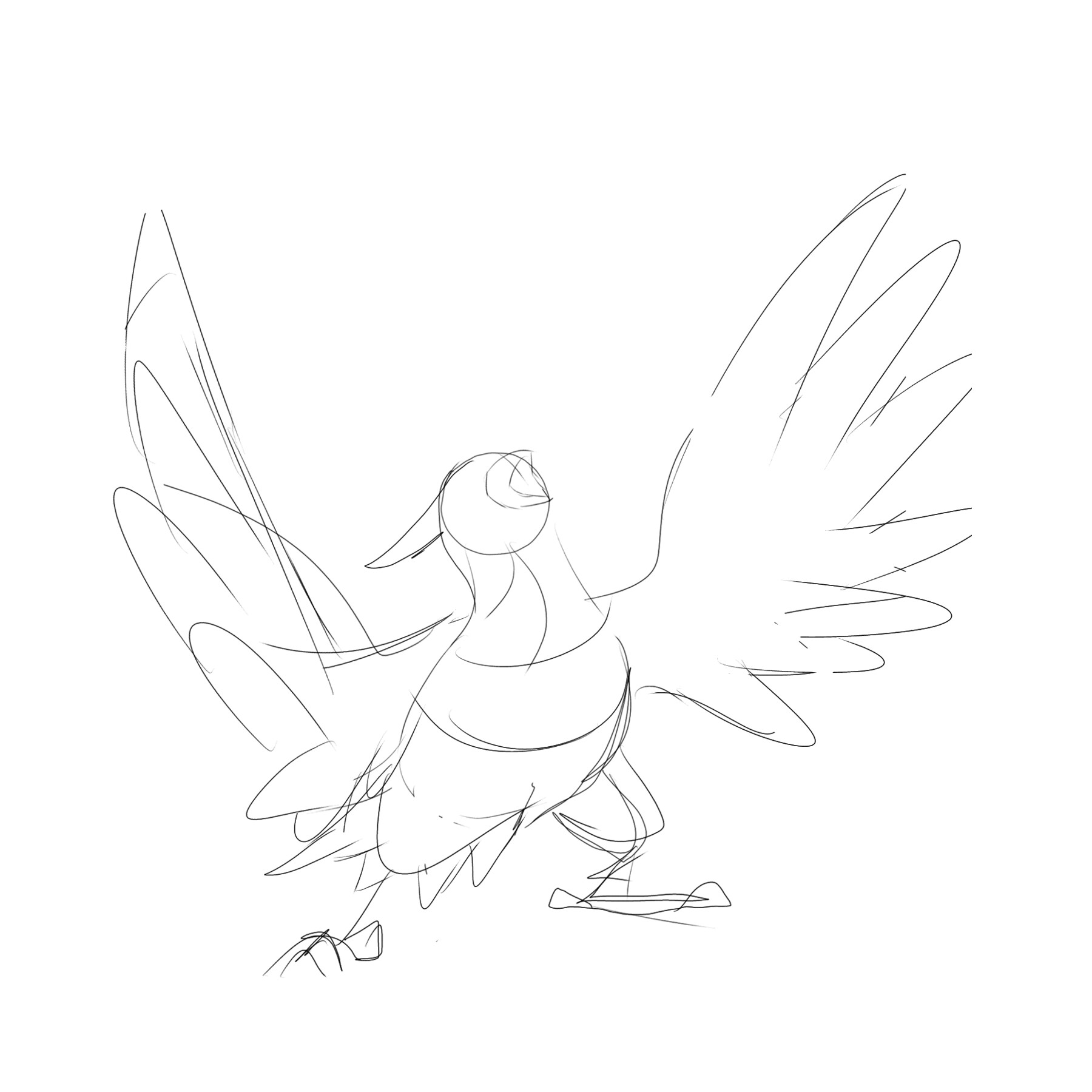 talonflame coloring page