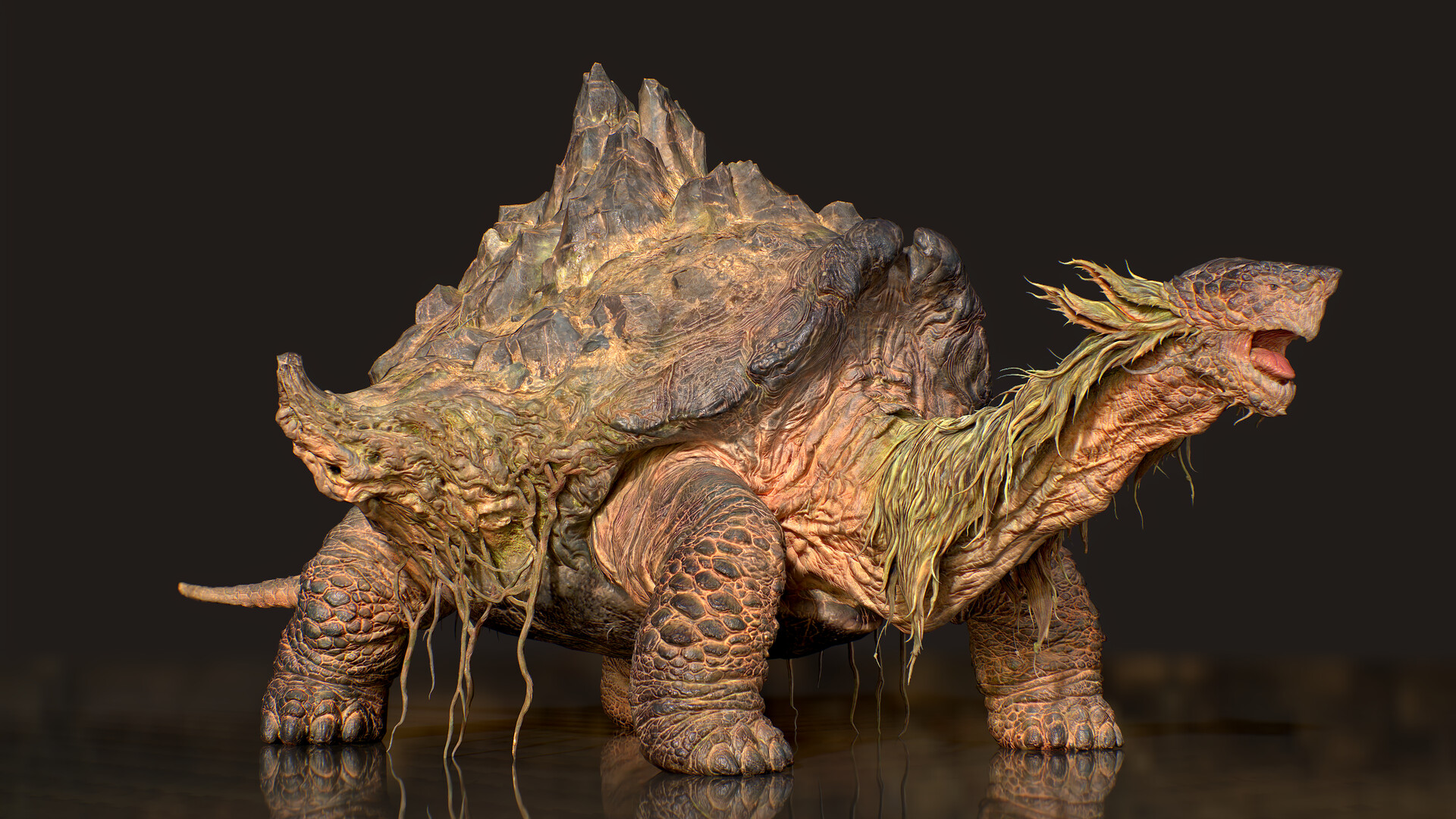 ArtStation - Turtle
