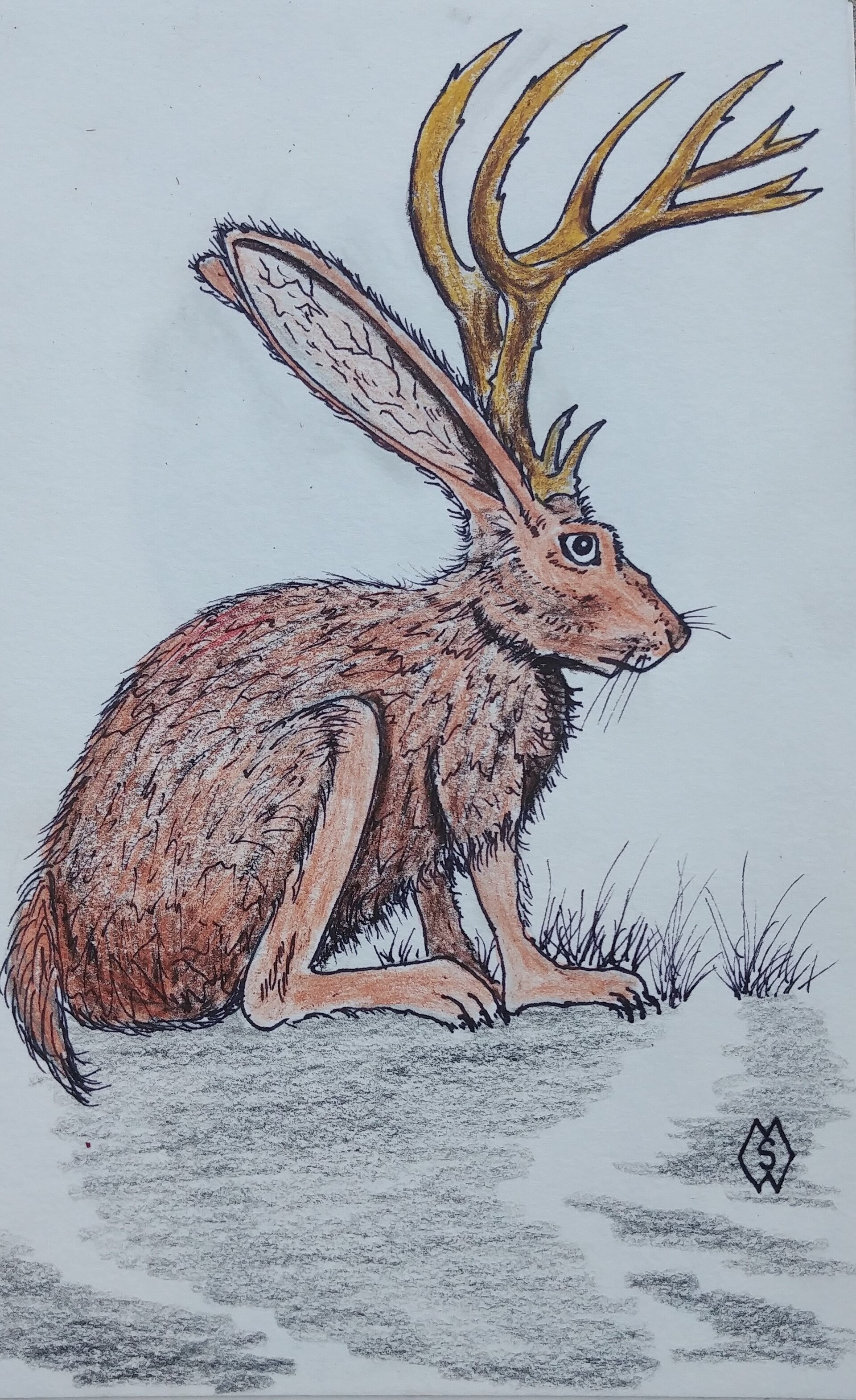 ArtStation - Jackalope