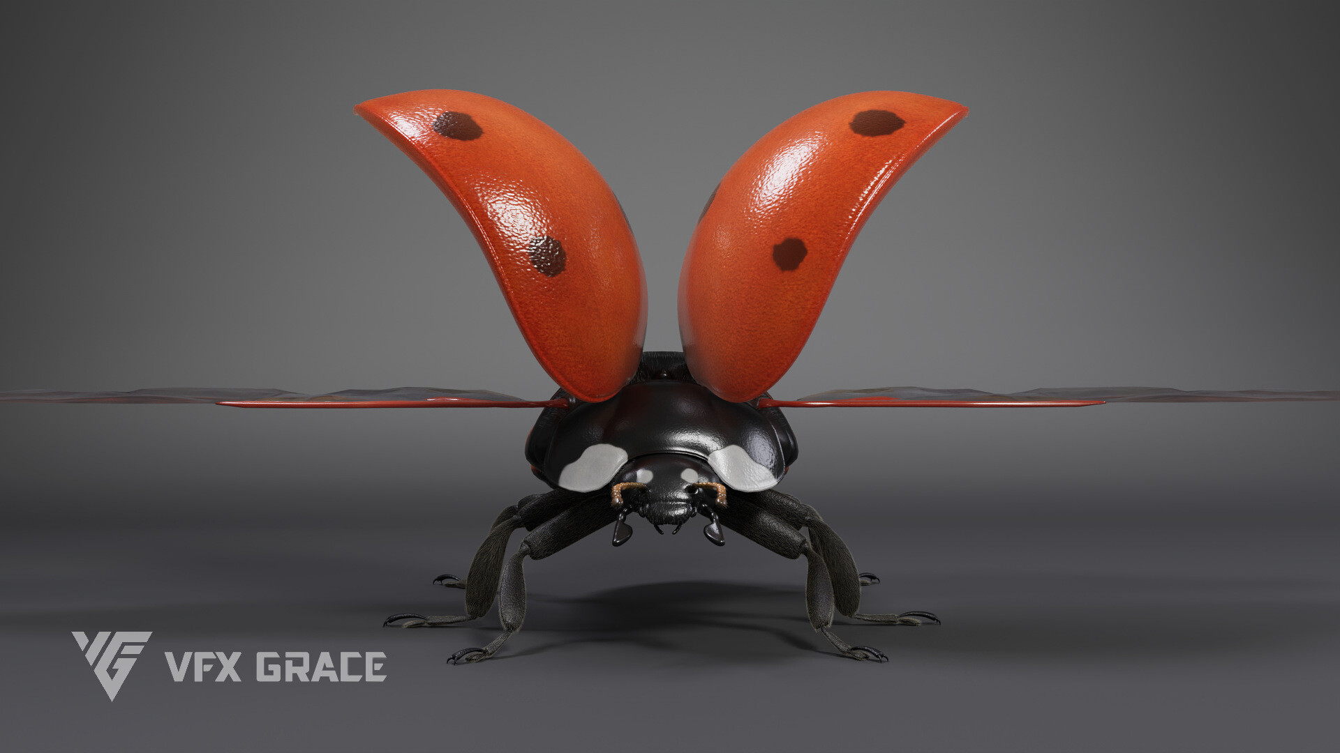 VFX models - Ladybug Animated - MAYA Character Asset