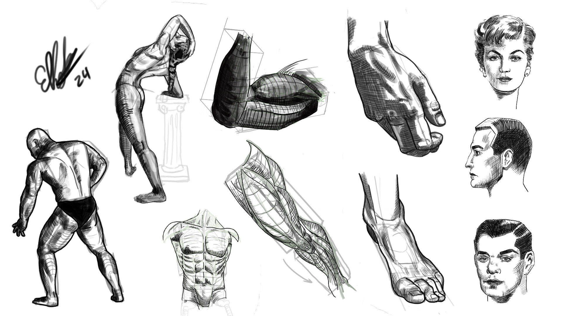 ArtStation - Anatomy Practice (TFS Assignments)