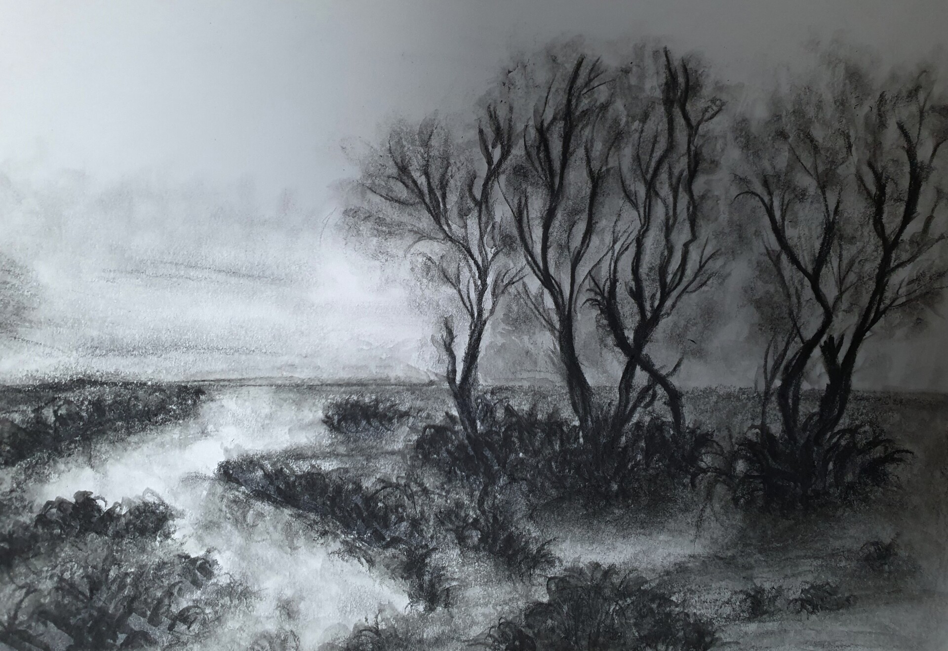 ArtStation - Charcoal Trees
