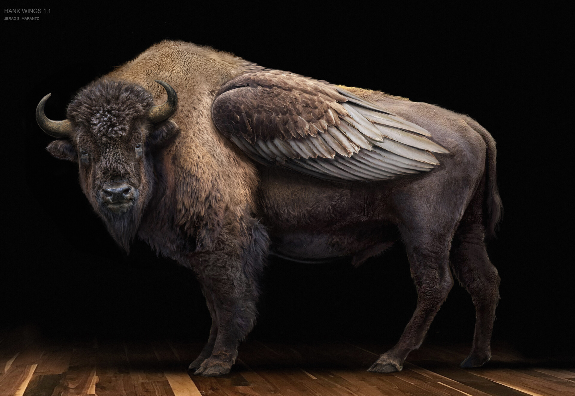 ArtStation - HANK DESIGN for Buffalo Wild Wings for JAMM