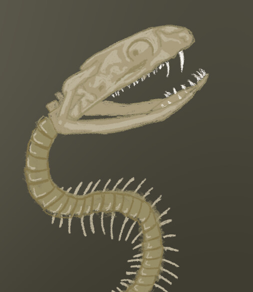 ArtStation - Snake Skeleton