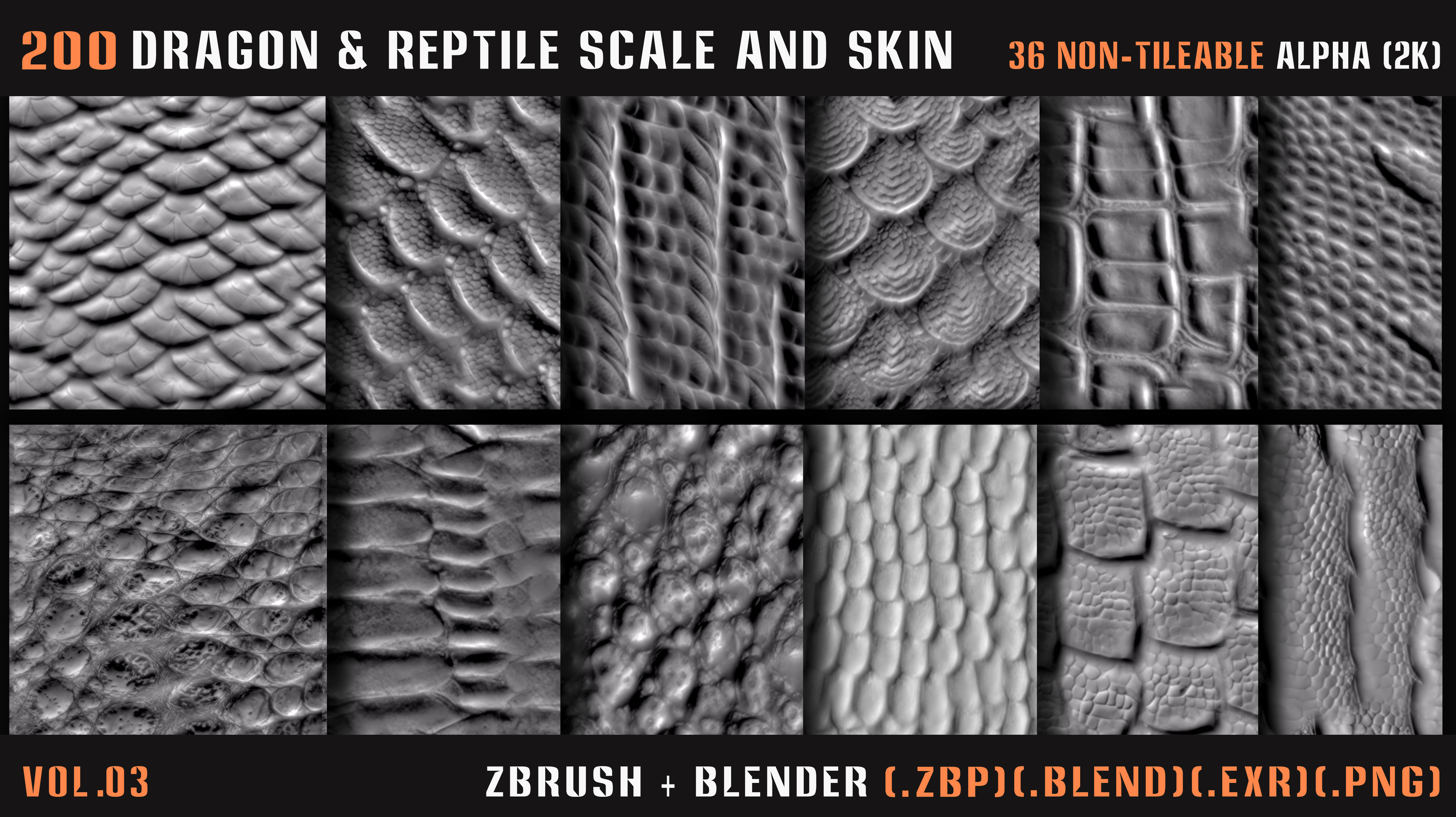 Mona Ghafourian - 200 Dragon & Reptile Scale and Skin (VDM + Alpha ...