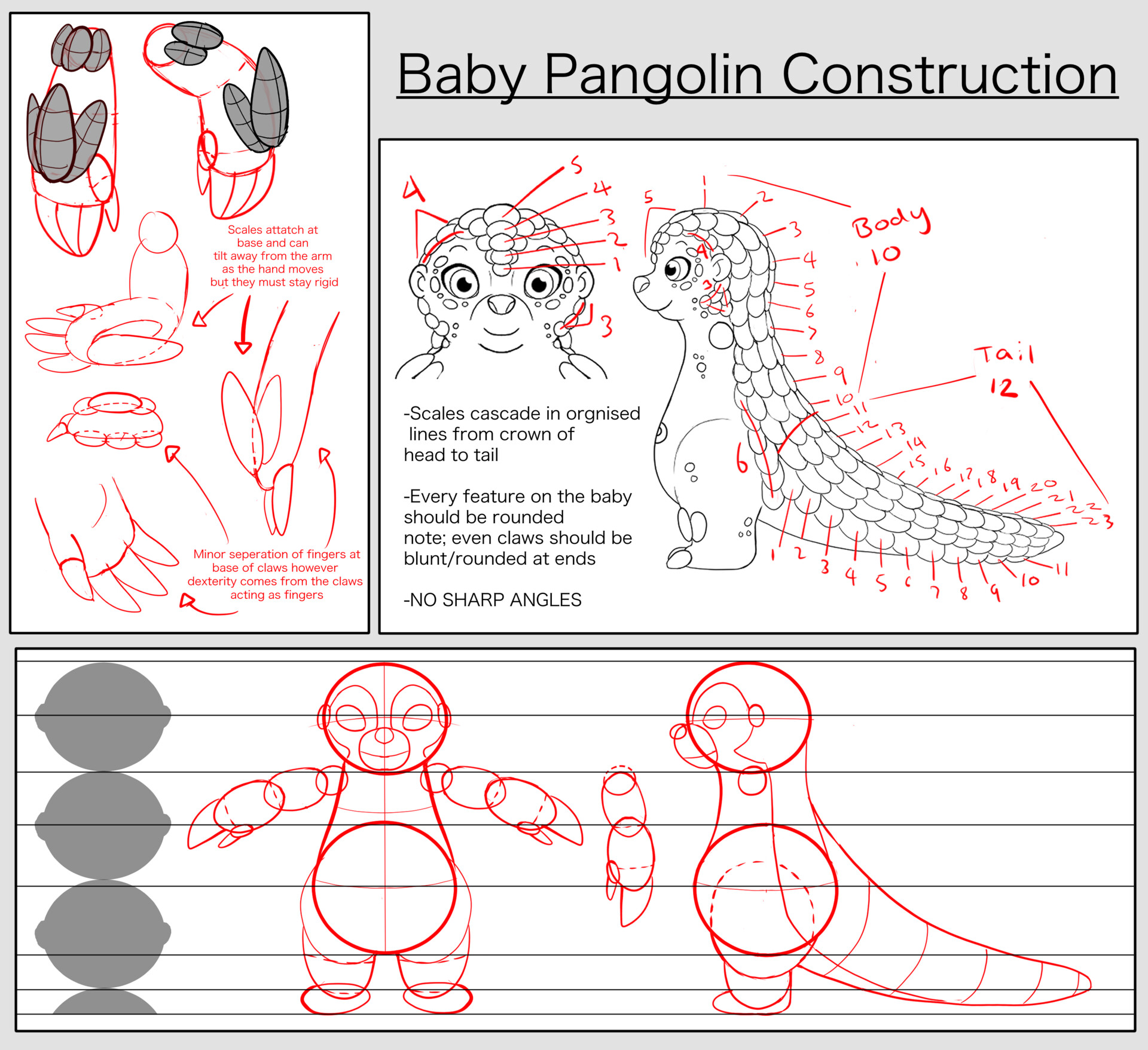 ArtStation - Baby Pangolin Construction sheet