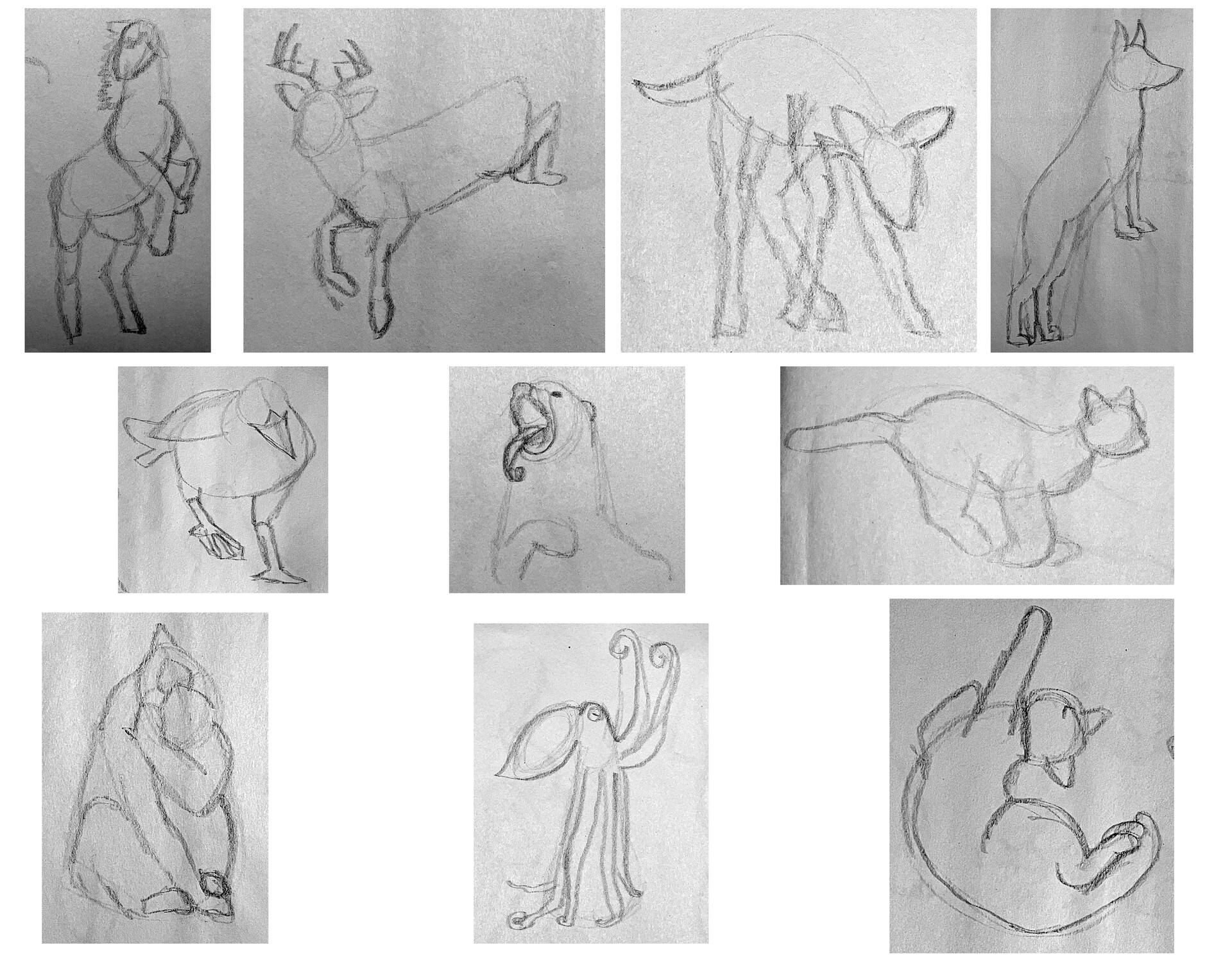 ArtStation - Animal Gestures