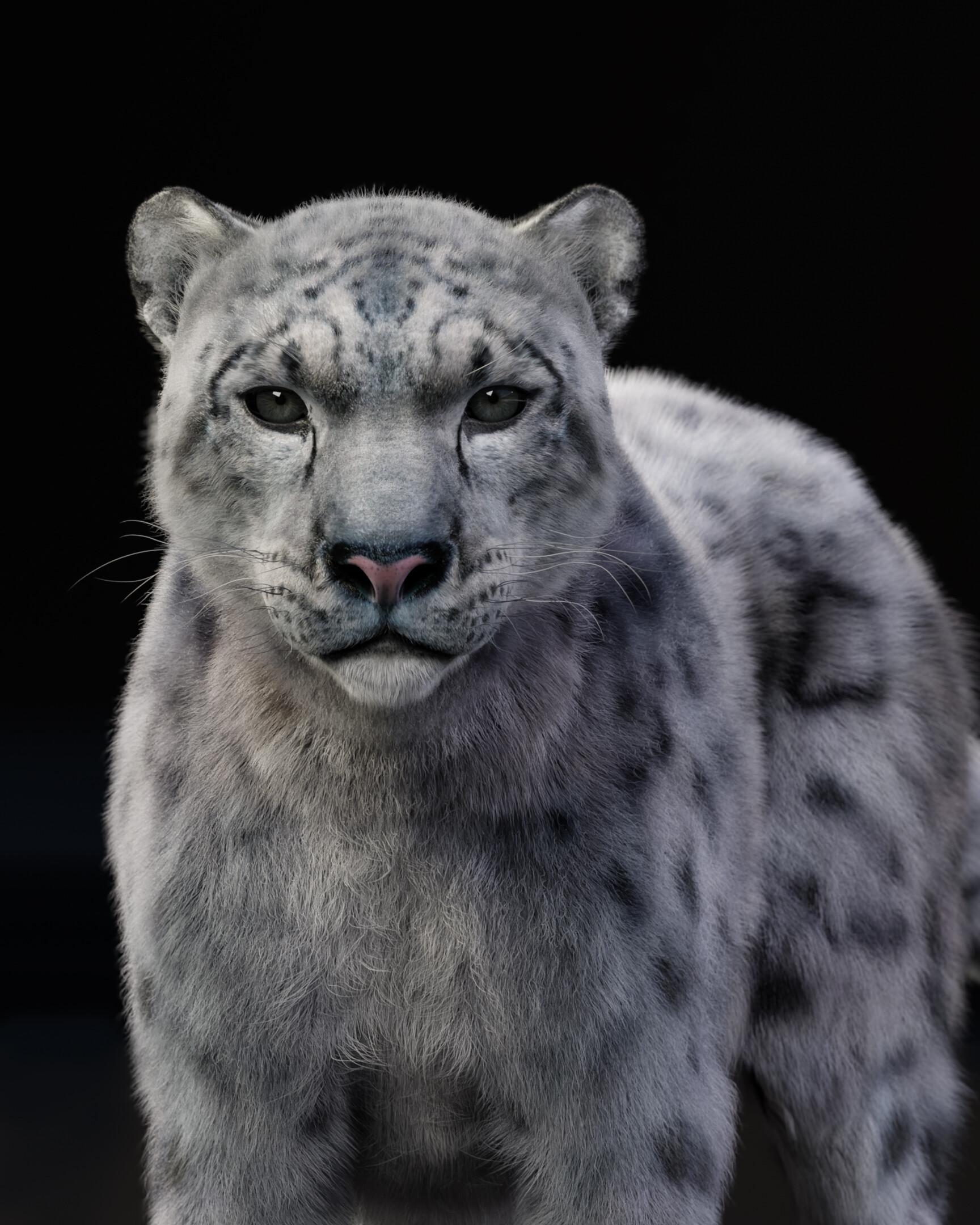 ArtStation - Snow Leopard
