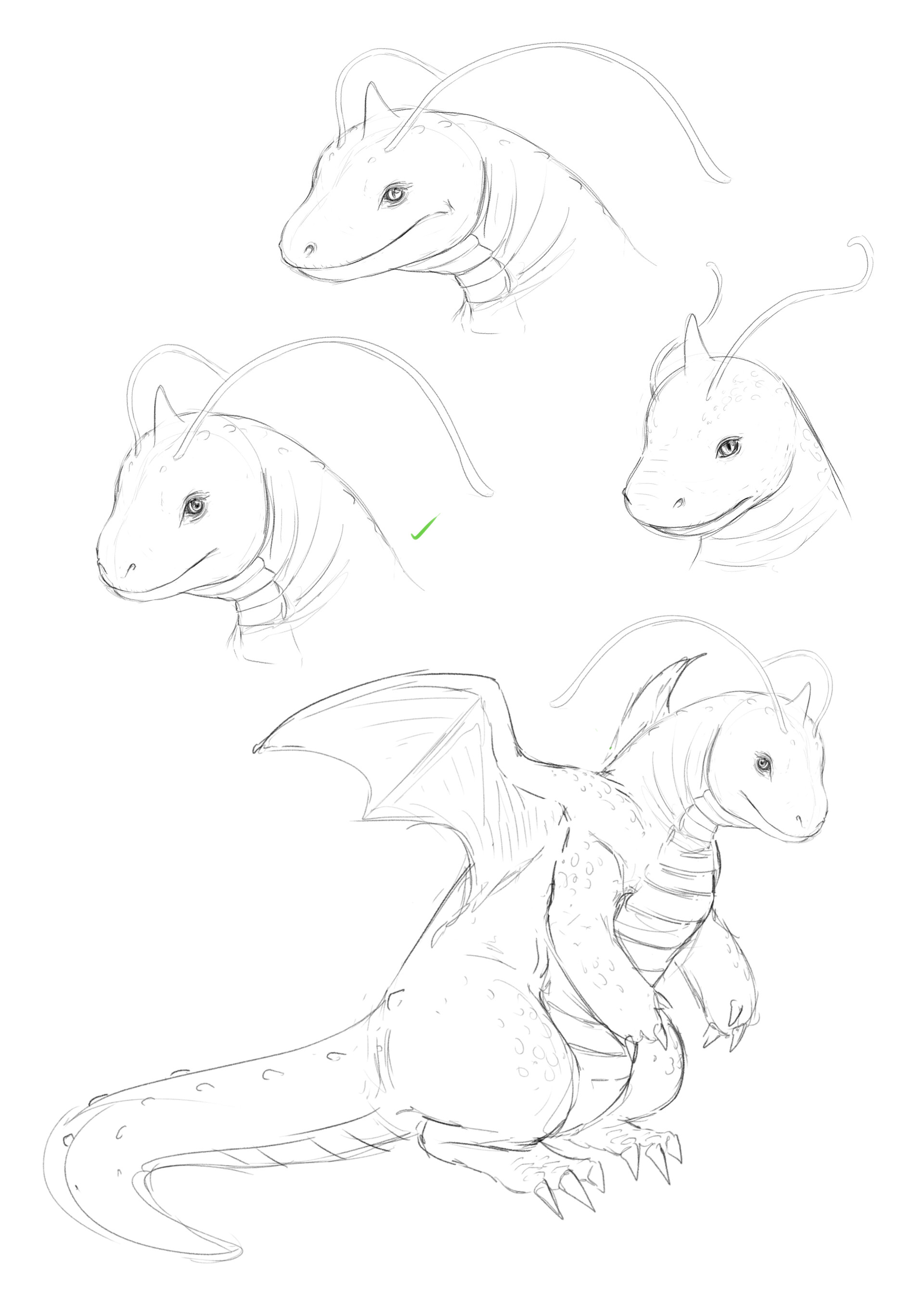 Joshua Dunlop - Dragonite