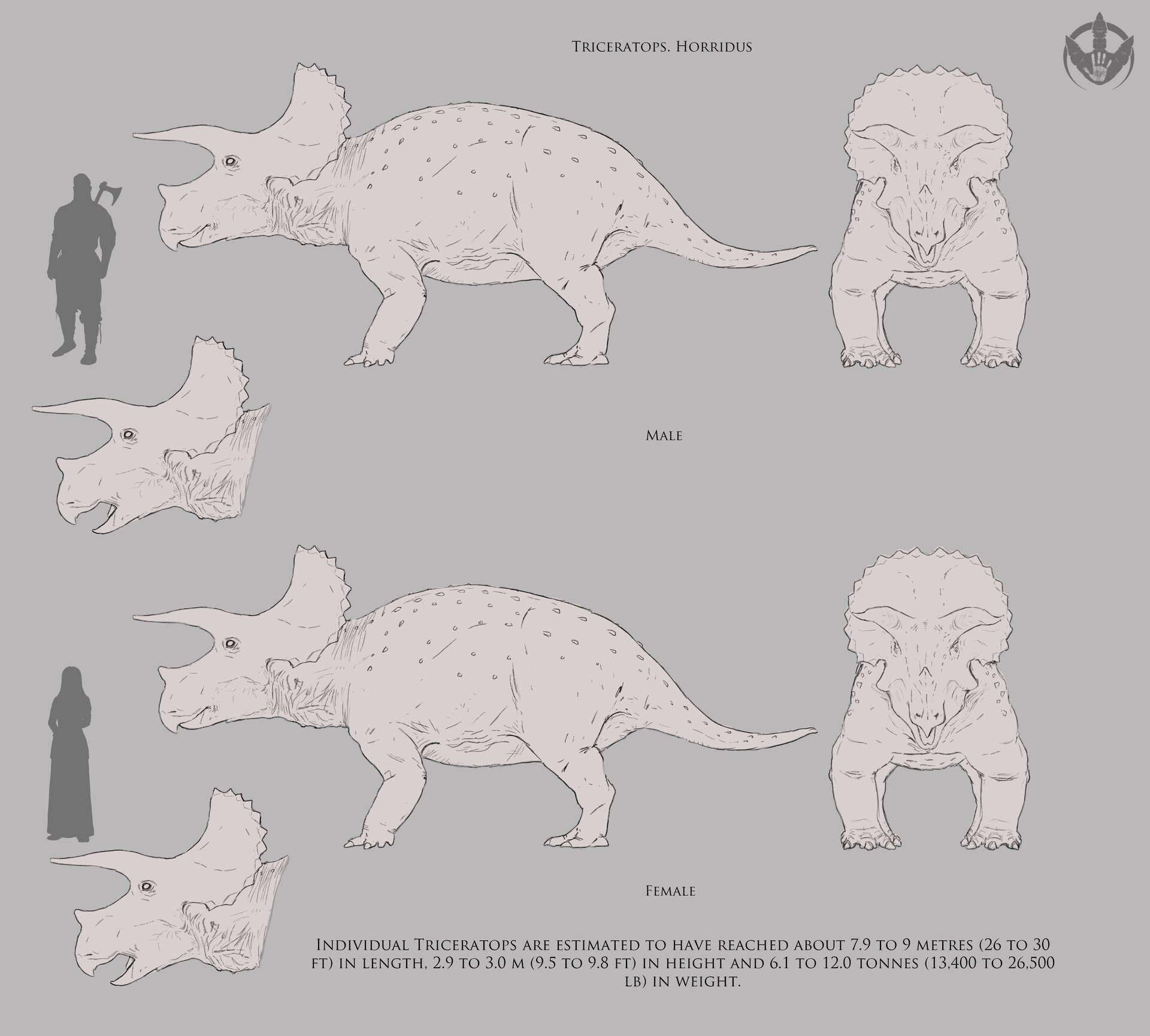 Joshua Dunlop - Triceratops sketches