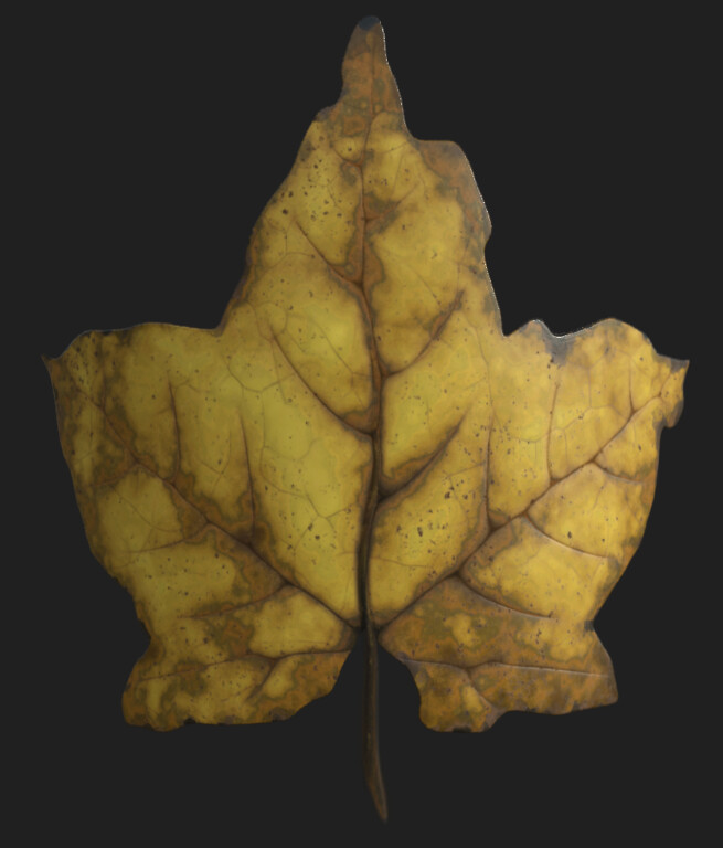 Lucie Priest - Leaf Ground Material