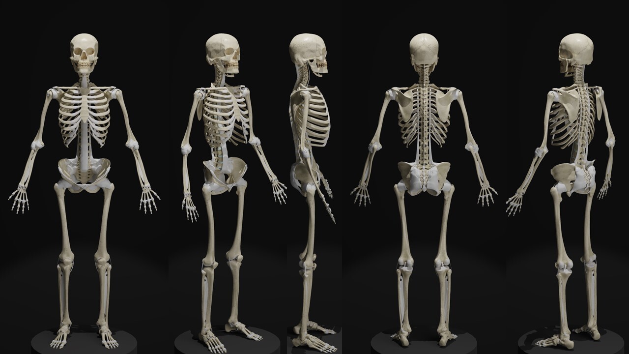 Laura Mayeux - My first freelance job