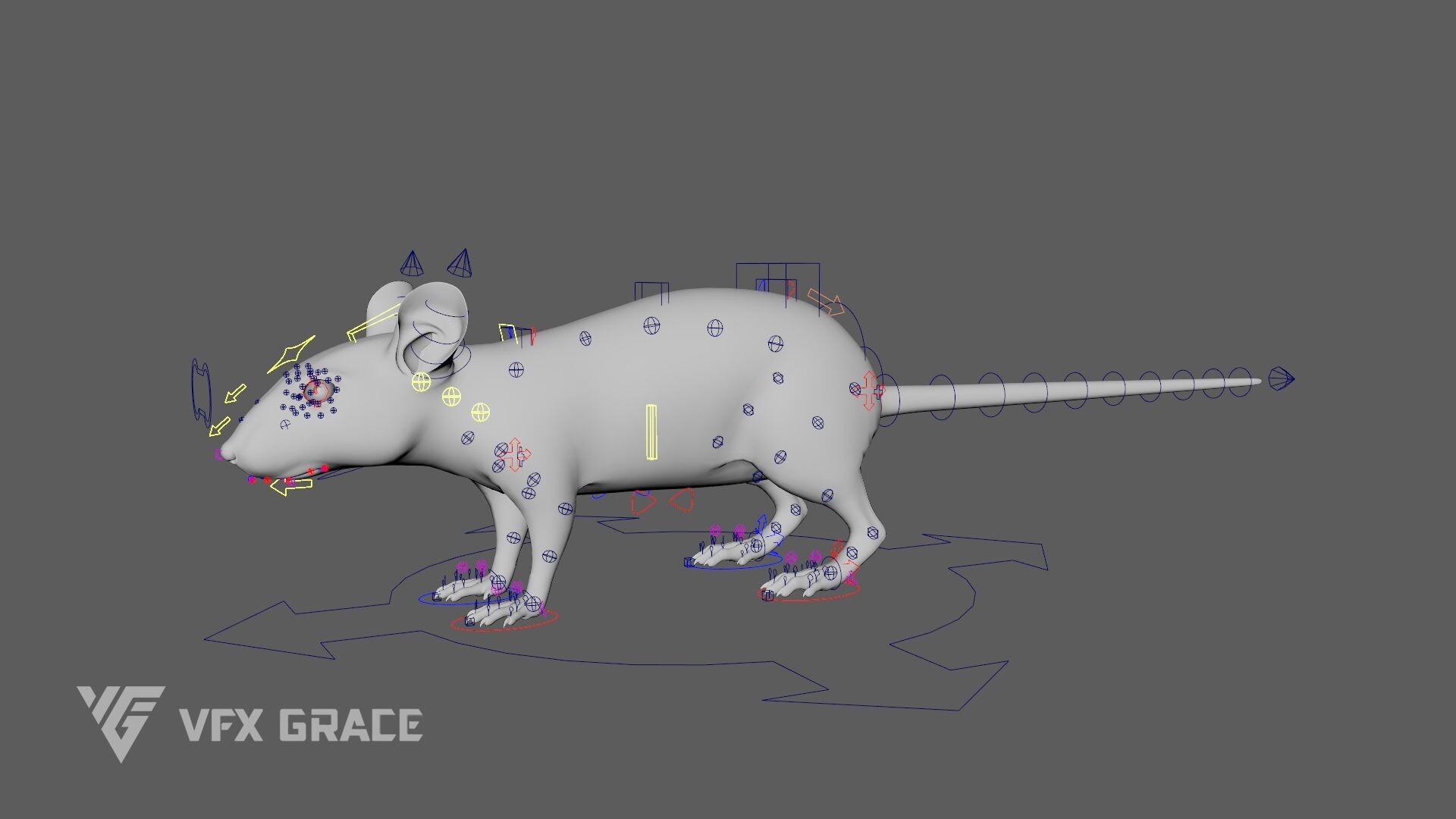 VFX models - Rat Animated - MAYA Character Asset