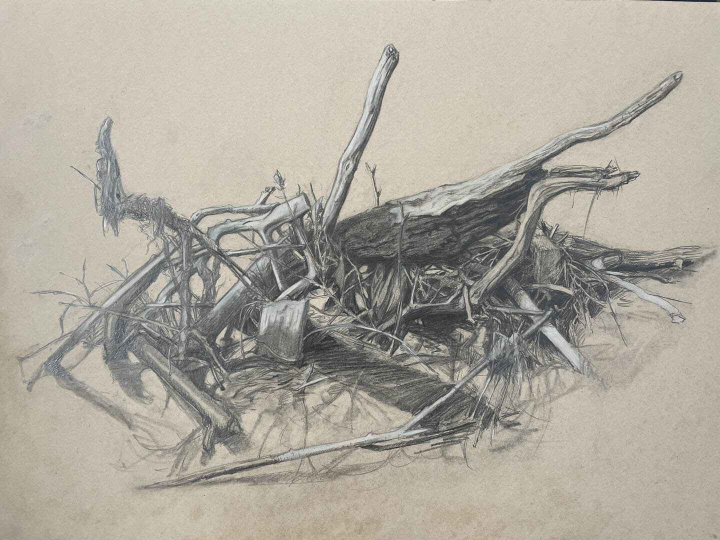 ArtStation - dead wood (again, but bigger)