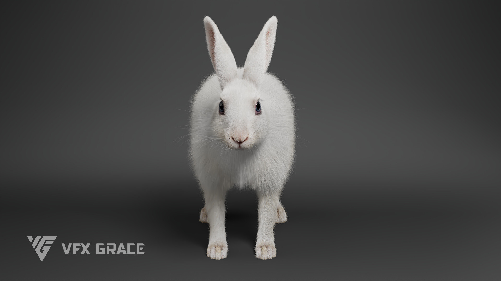 VFX models - White Rabbit Animated - MAYA Character Asset