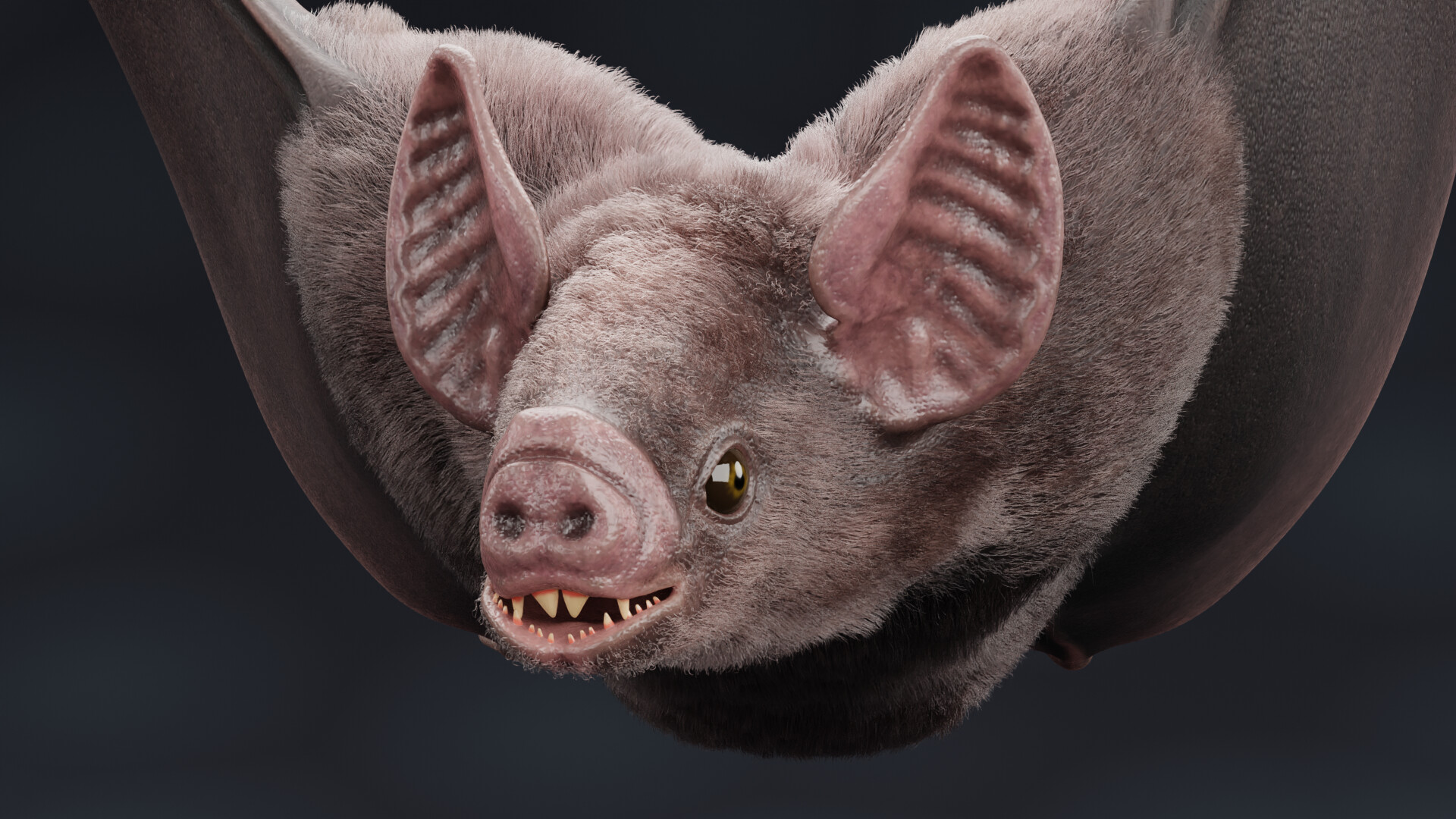Michael Bescec - Vampire Bat 3D Model Rigged