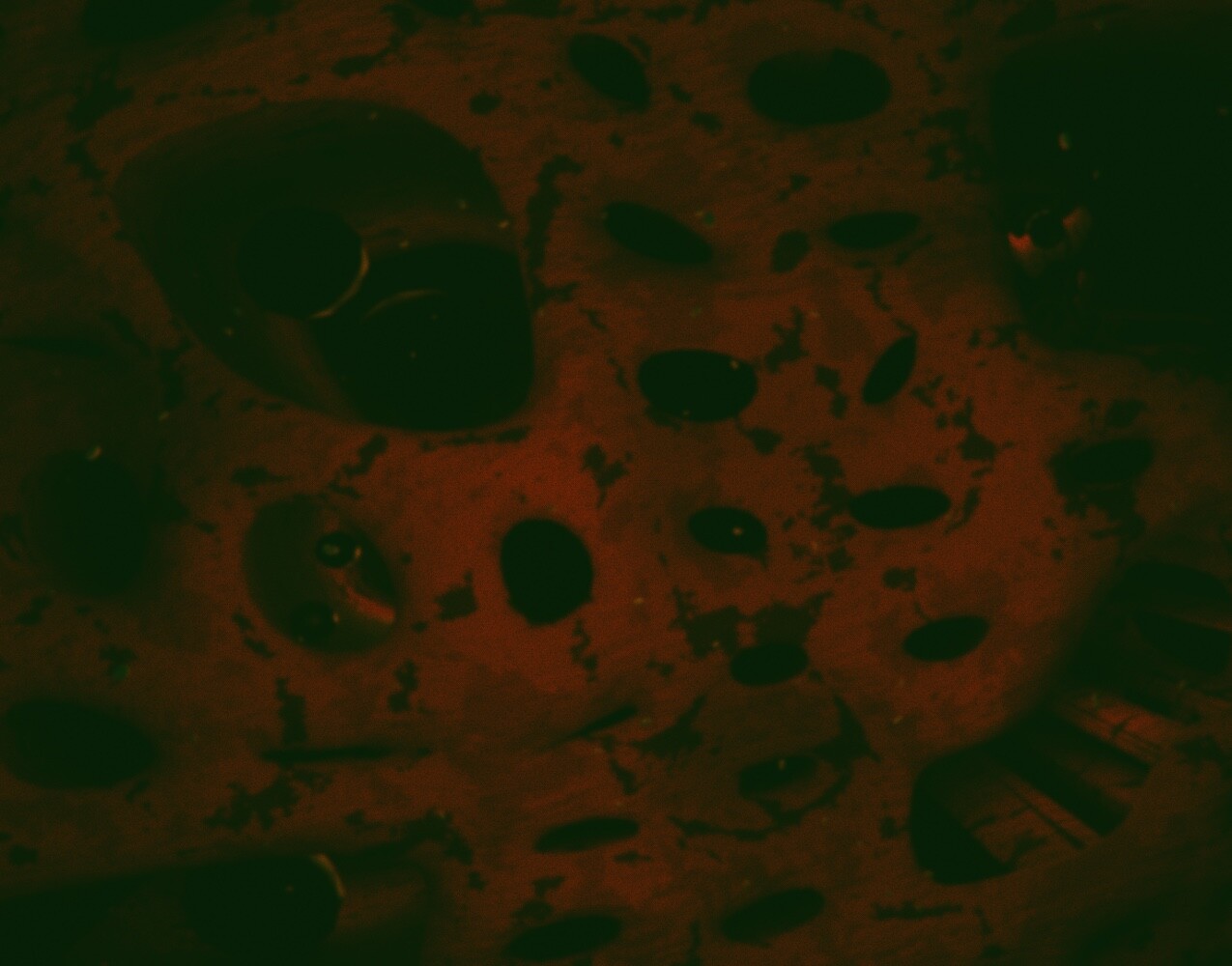 ArtStation - Exploring depths