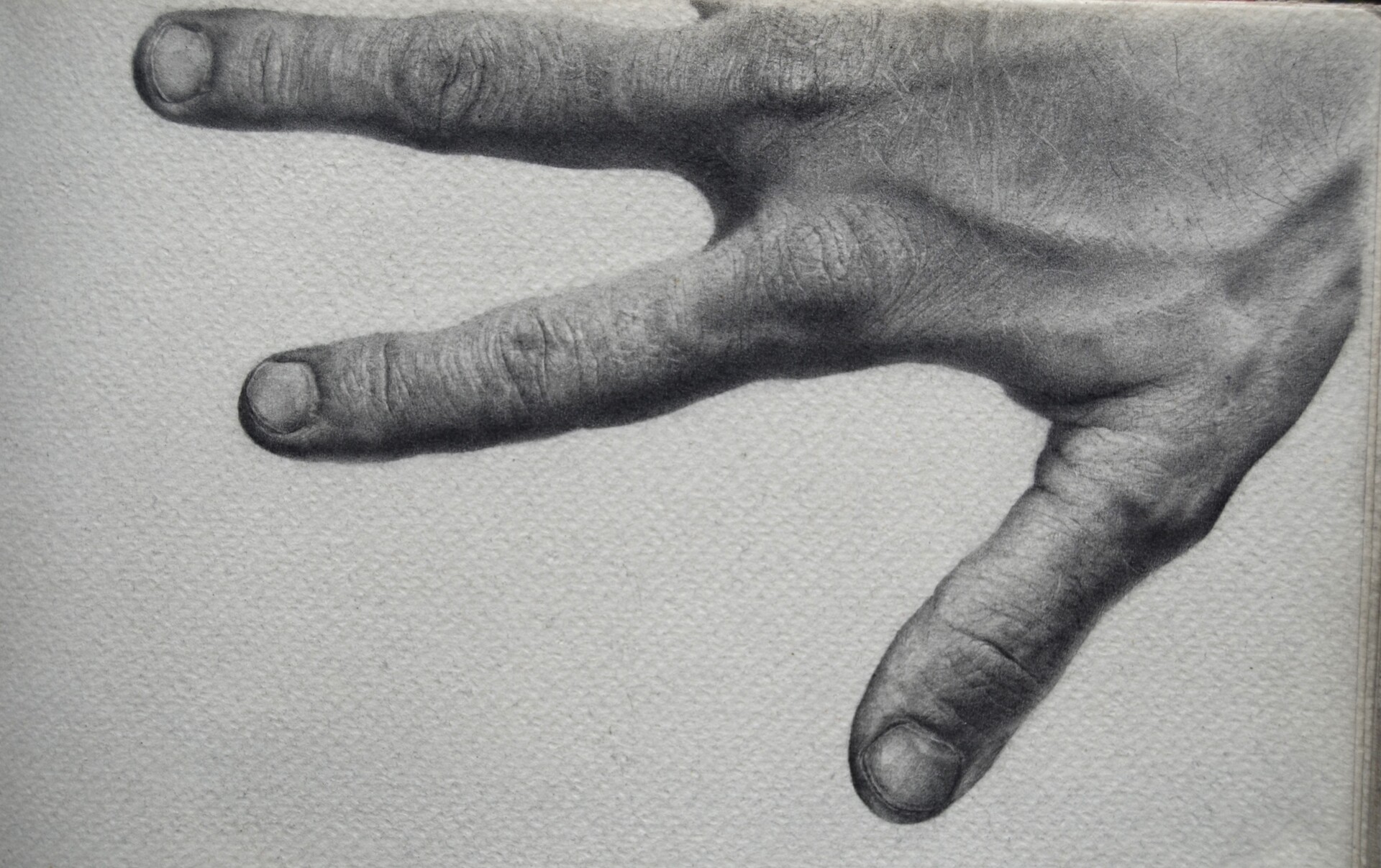 ArtStation - Life-size drawing of my hand (graphite)