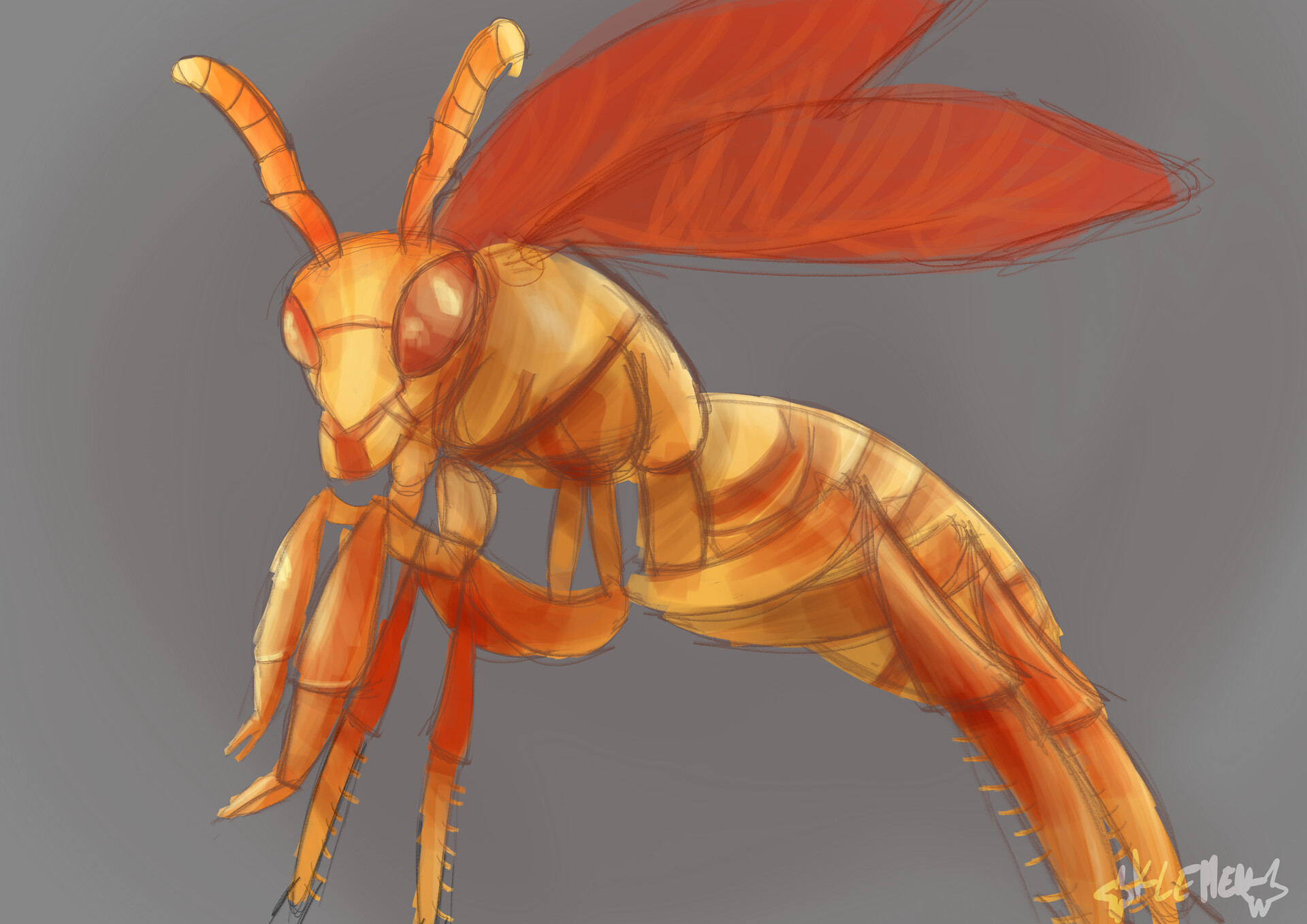 executioner wasp