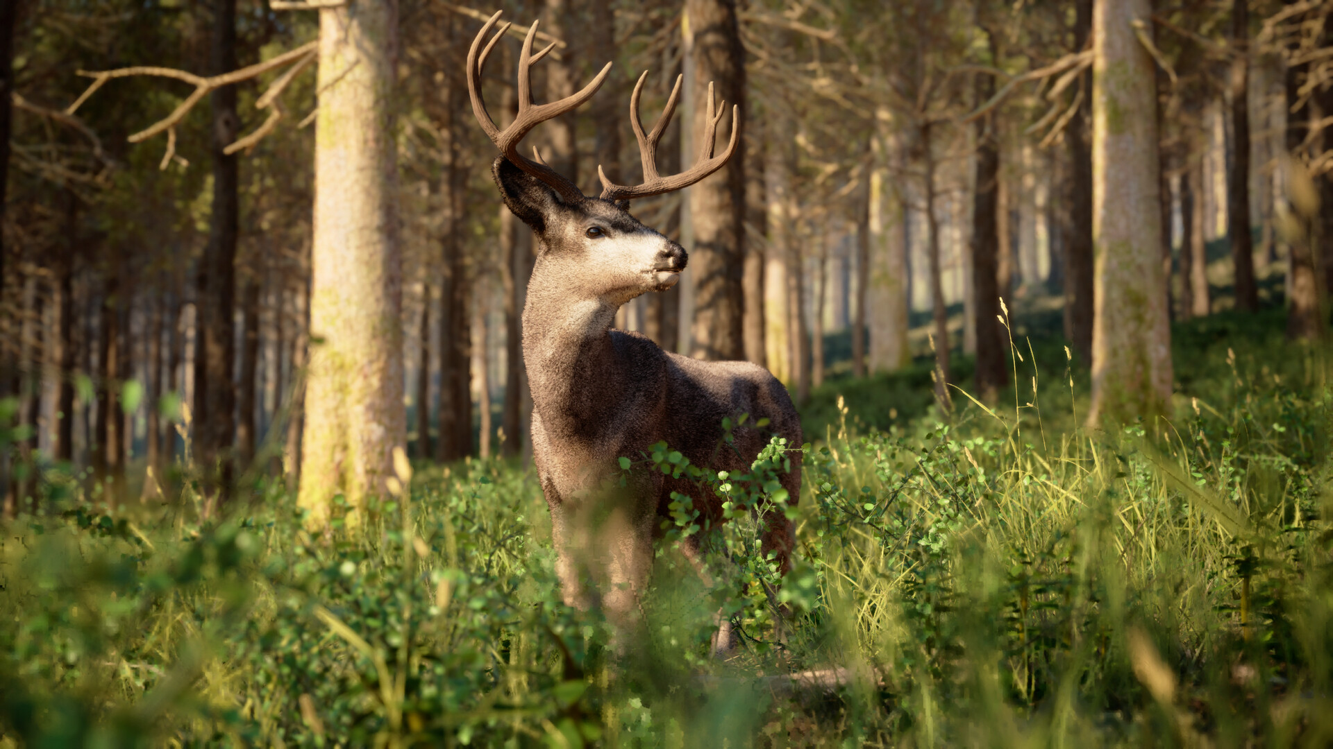 ArtStation - Unreal Engine Cinematic - Fur in UE5