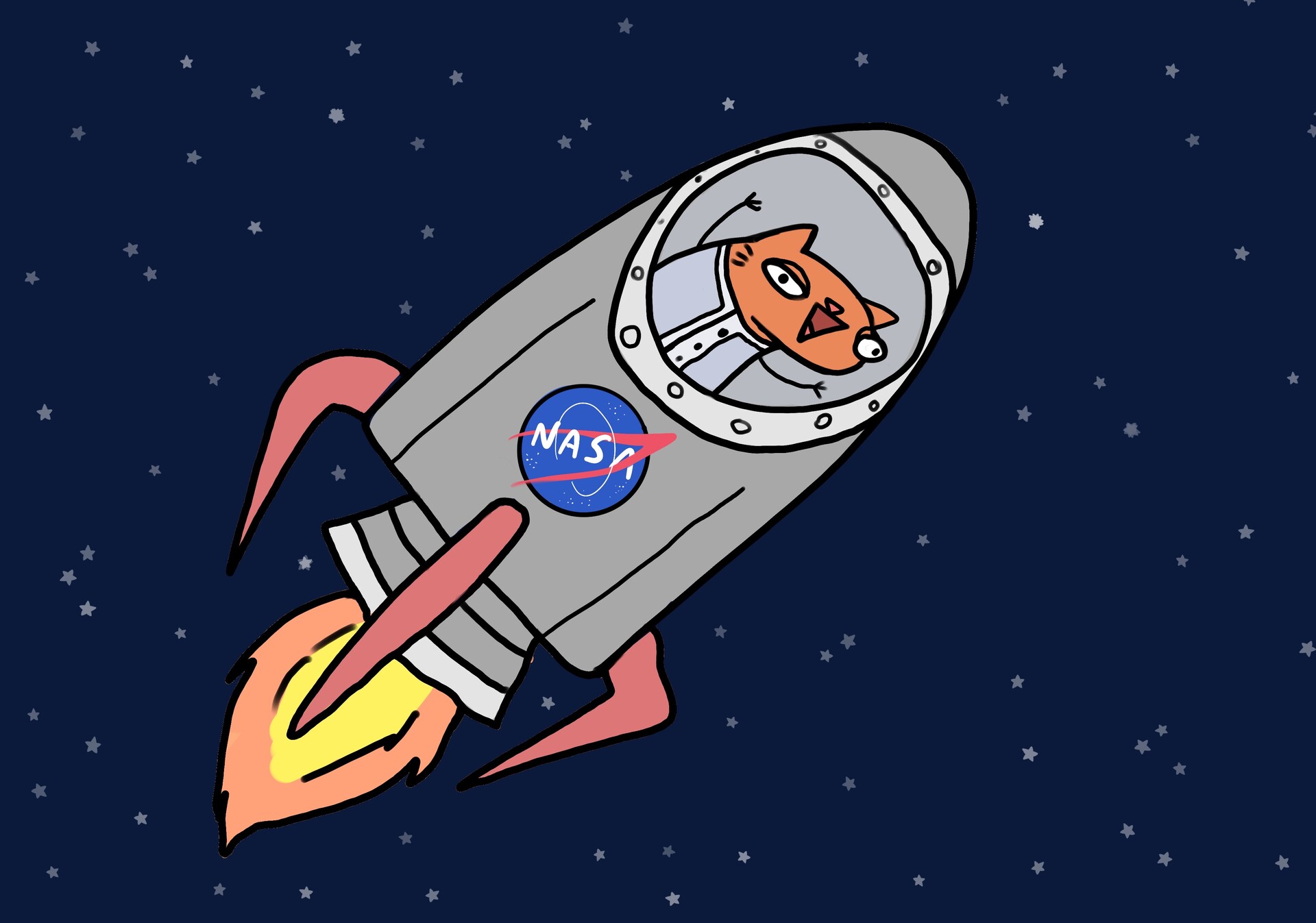 ArtStation - NASA Cat