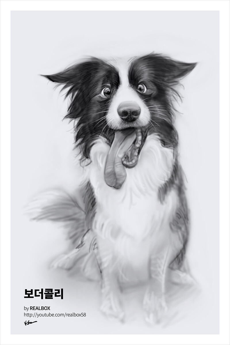 ArtStation - Border Collie