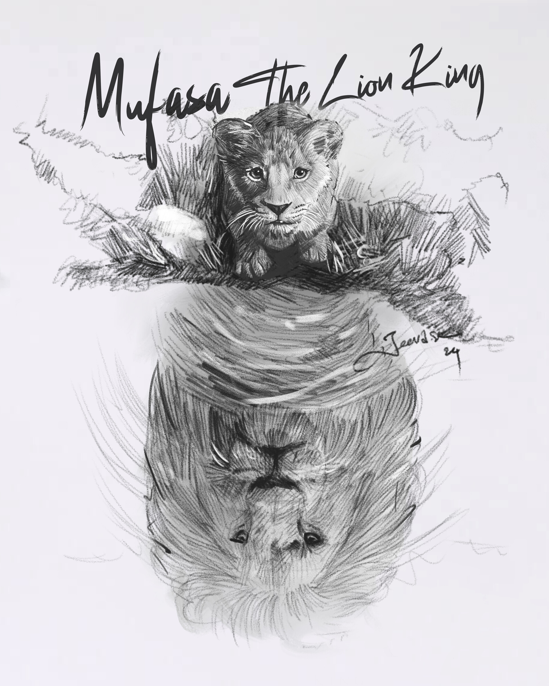 How To Draw Mufasa Lion King