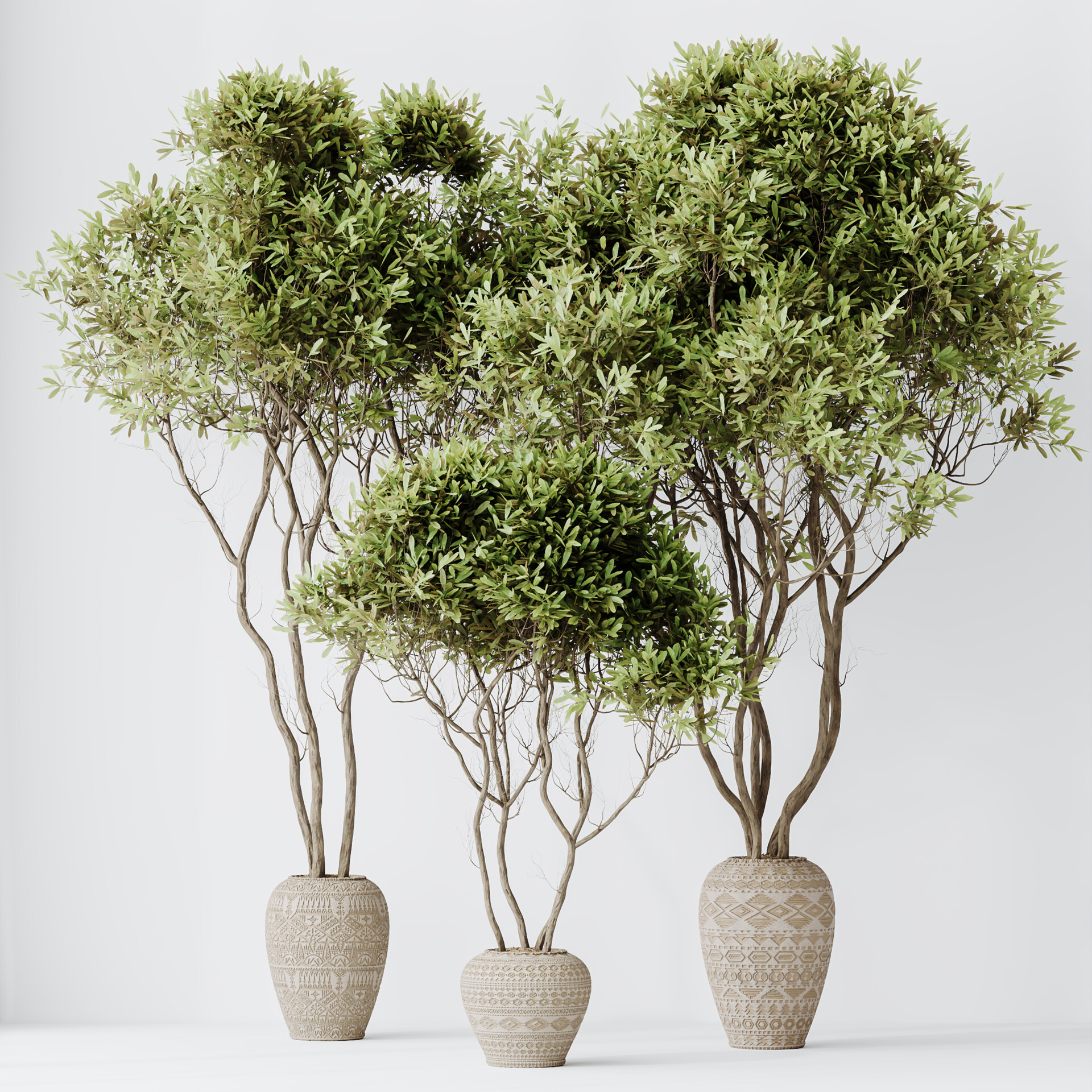 PANDORA Land - Indoor plants set 65