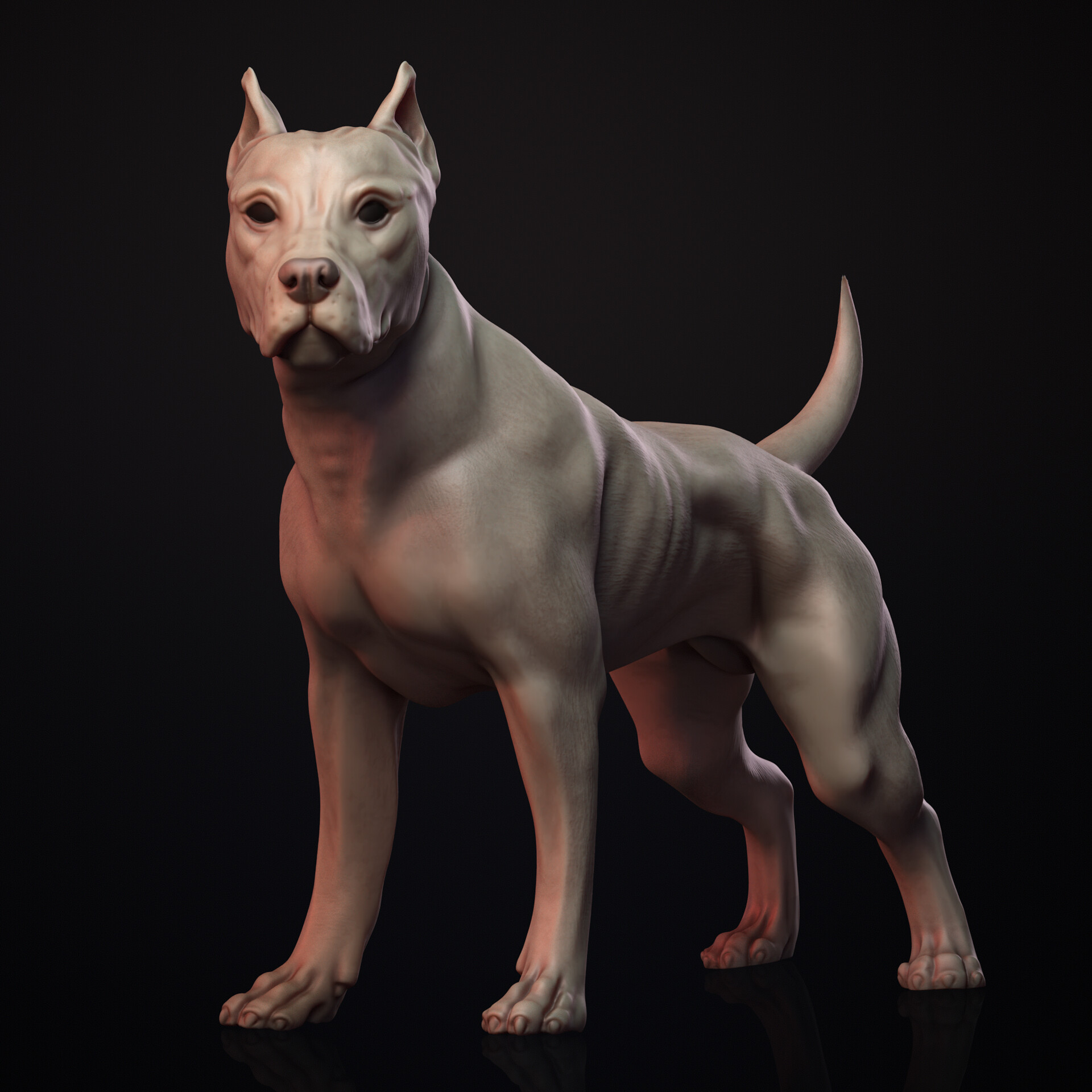 ArtStation - Dog