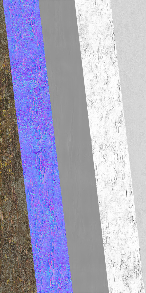 Grzegorz Baran - Oak Tree Bark - Photogrammetry based Environment Material