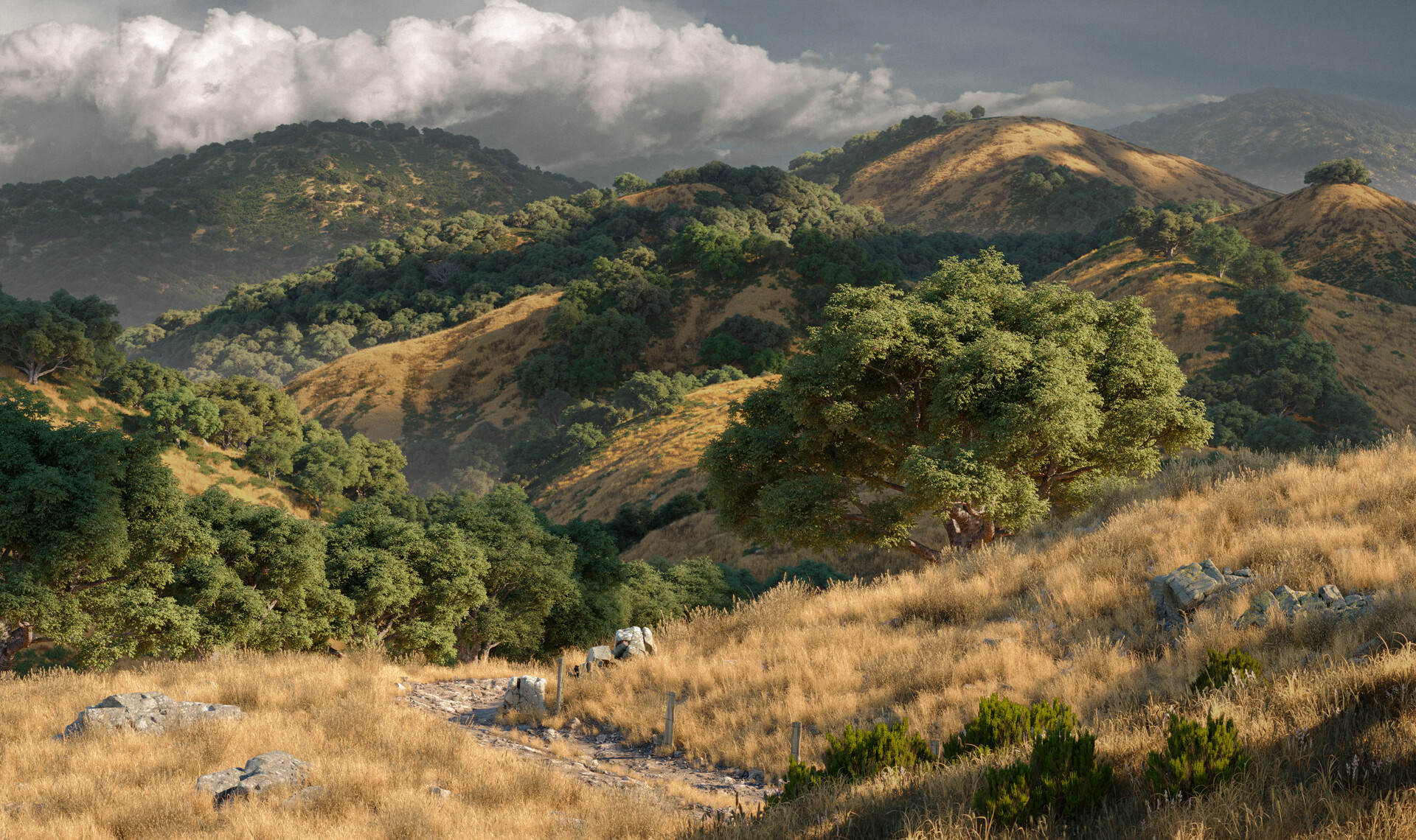 Timothy Augustine - Norcal Vibes