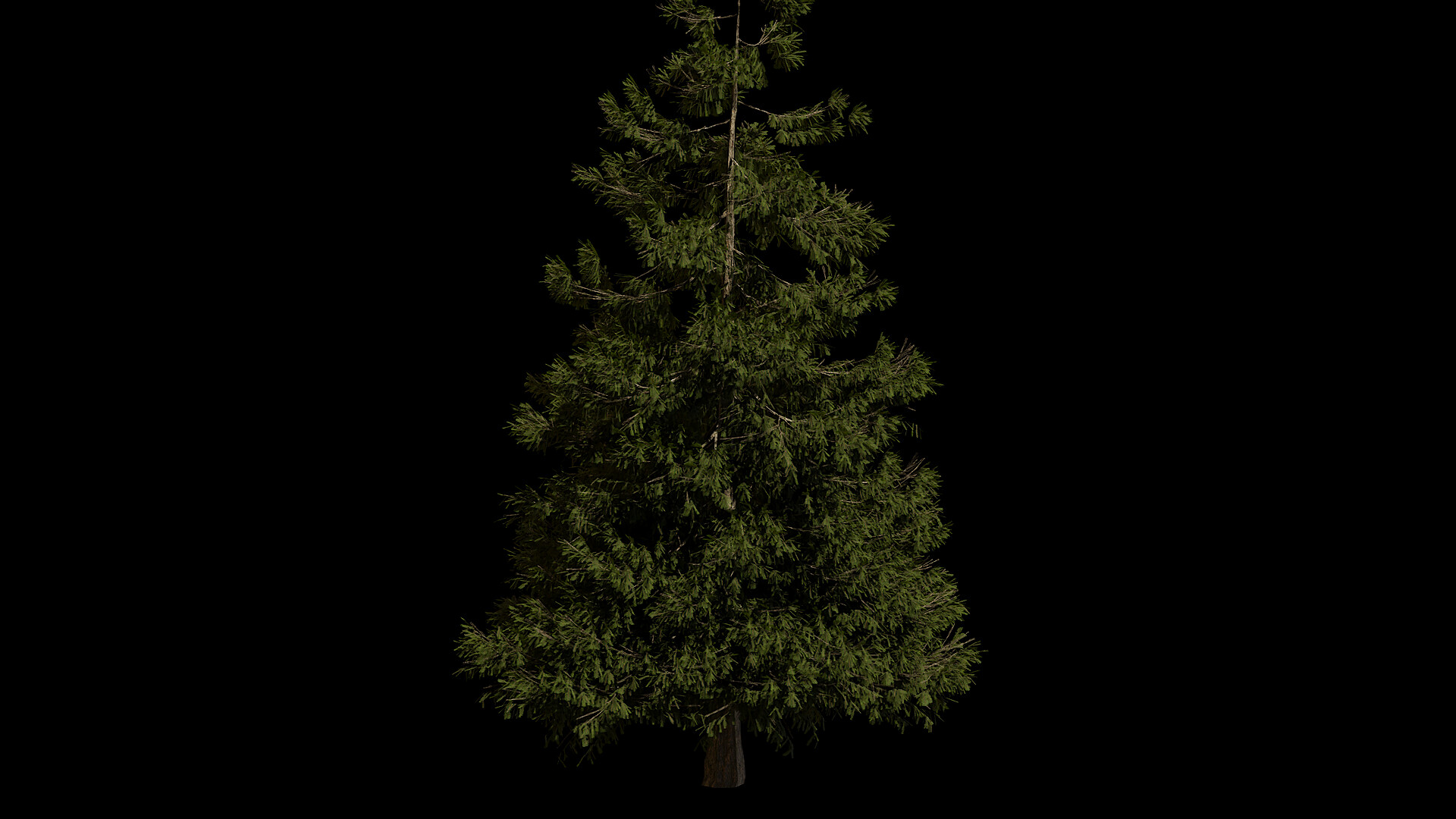 ArtStation - photorealistic trees - part of a complete project