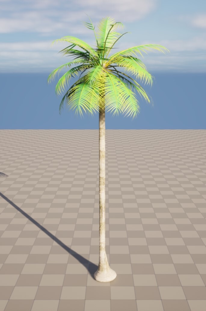 Laura Supinski - Beach Level Scene