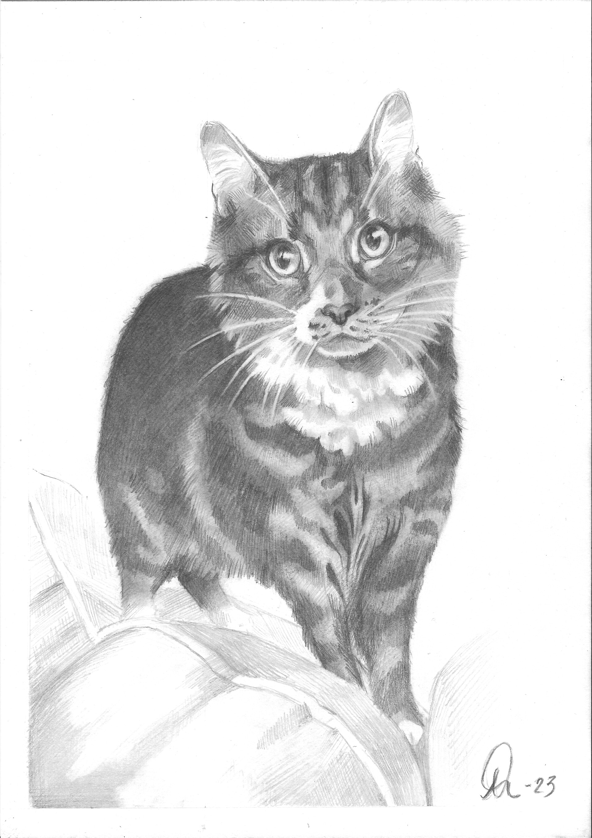 ArtStation - Bathala Graphite Portrait