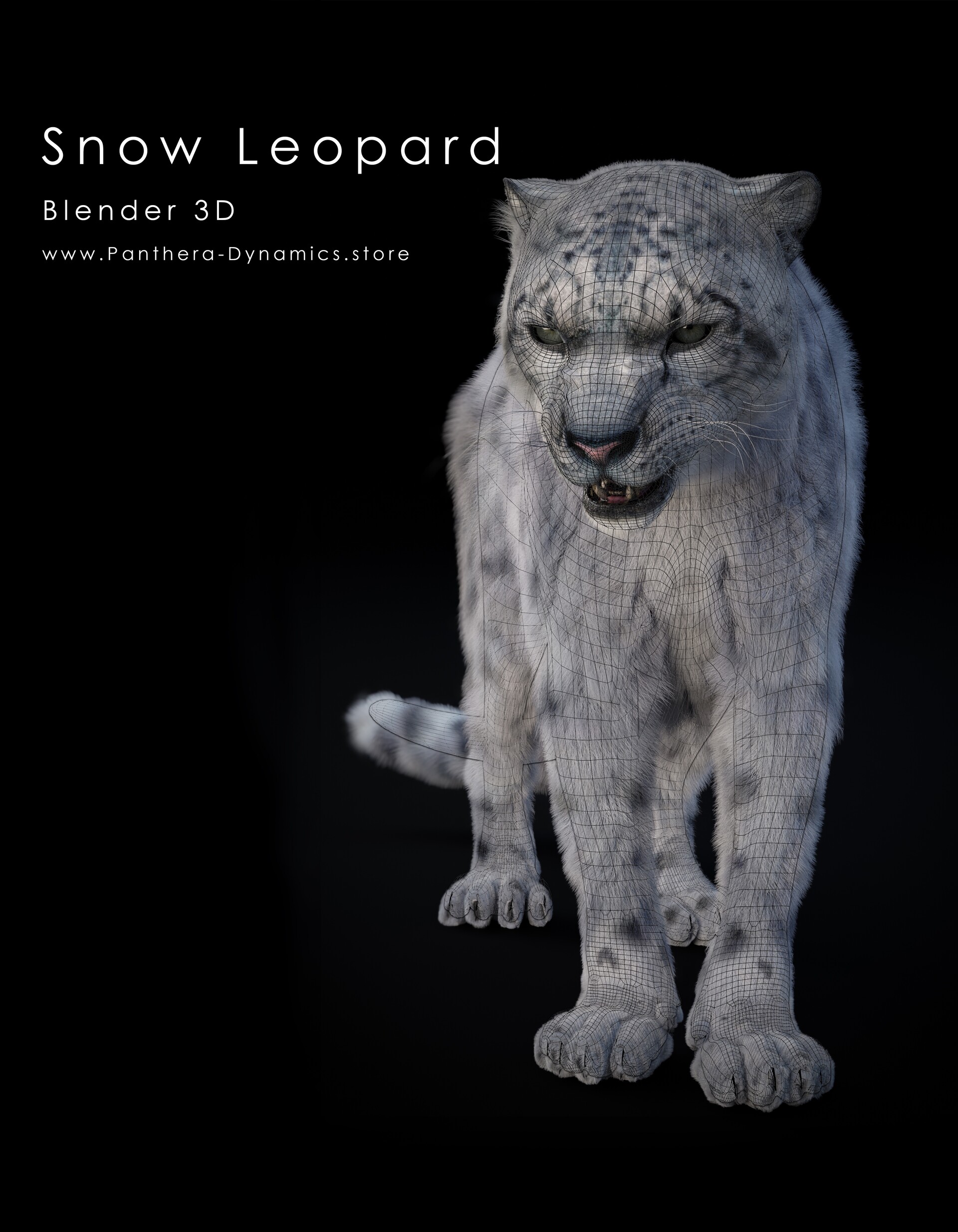 ArtStation - Snow Leopard 3D