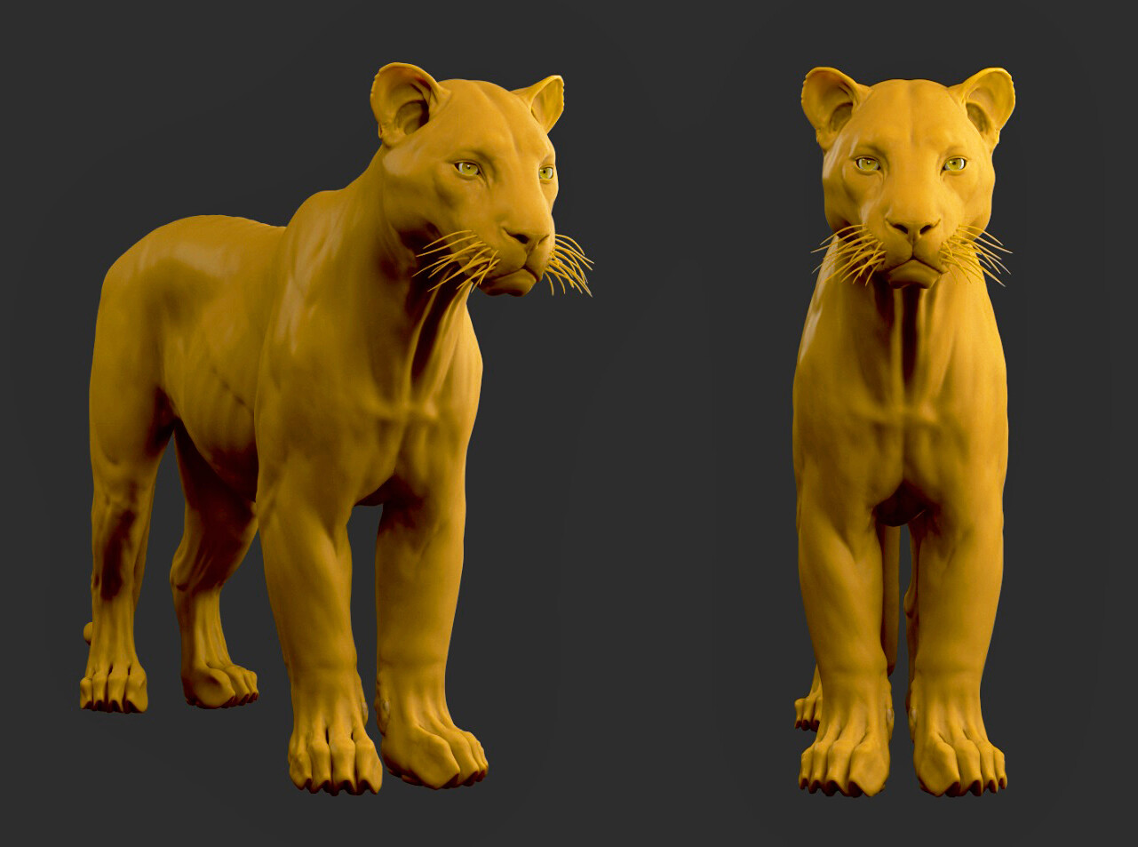 ArtStation - Leopard animal study