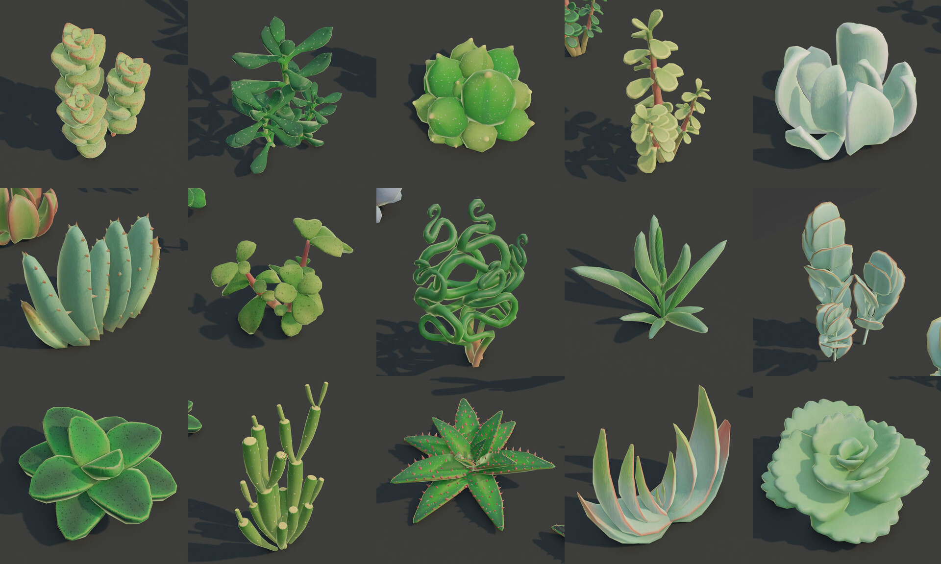 ArtStation - Succulents