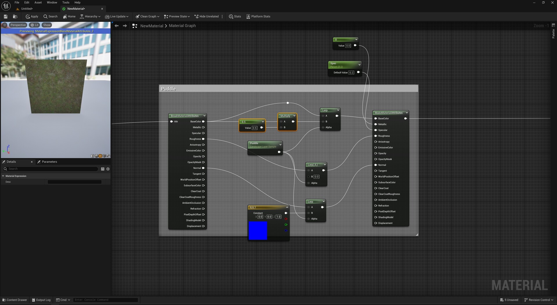 Damien Ramirez (CG) - UE5 Landscape Puddles