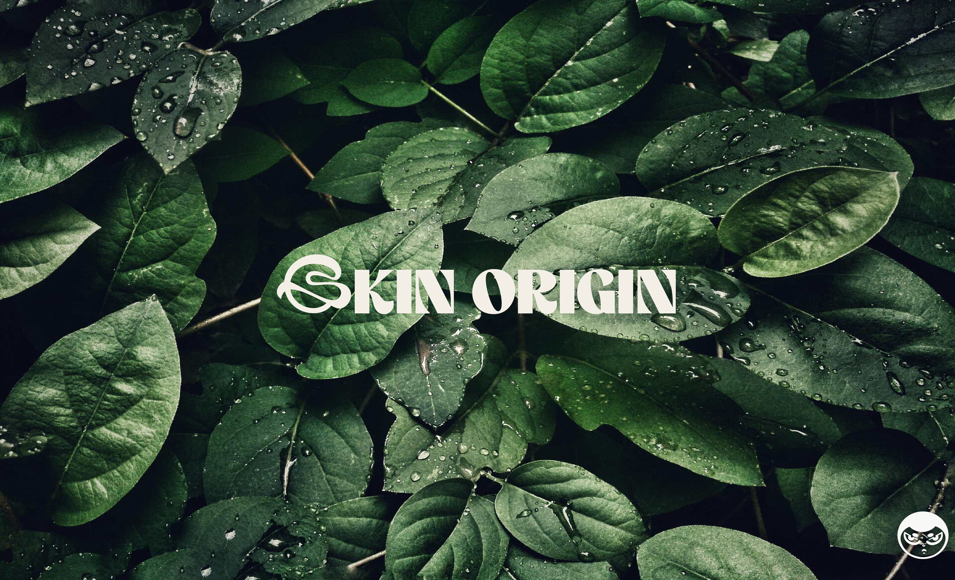 ArtStation - Skin origin