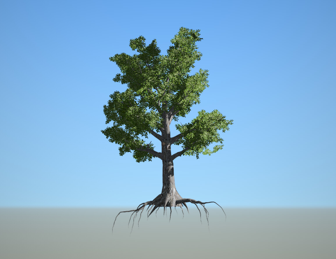 ArtStation - Broad-leaved tree