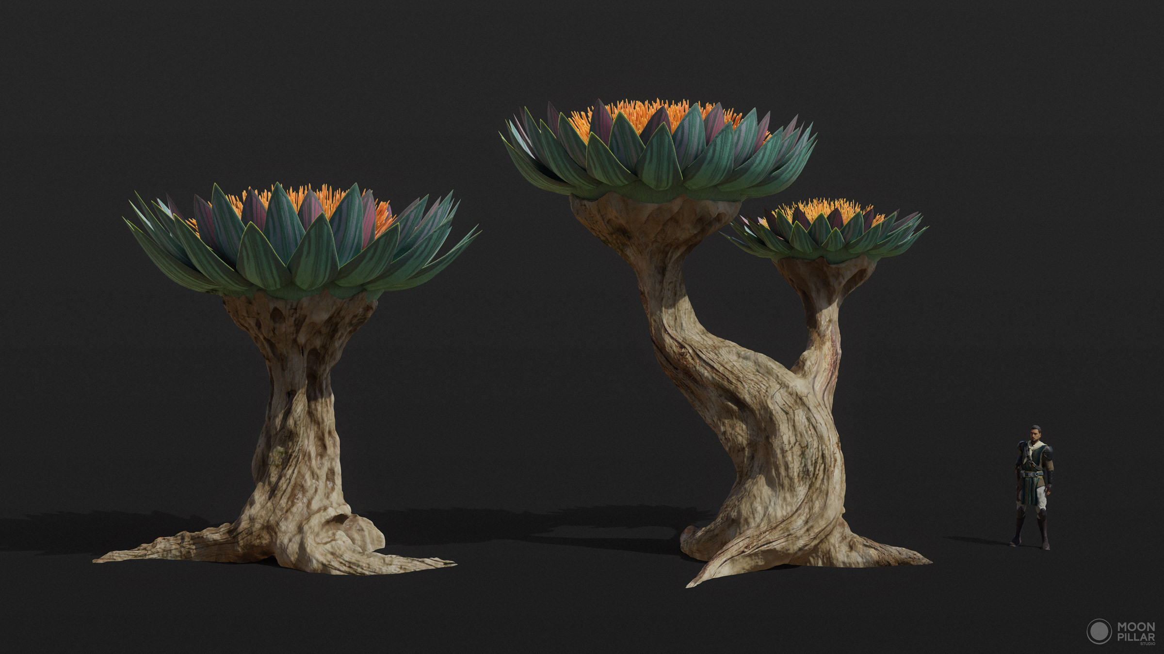 Moon Pillar Studio - Cosmos: Desert Plants