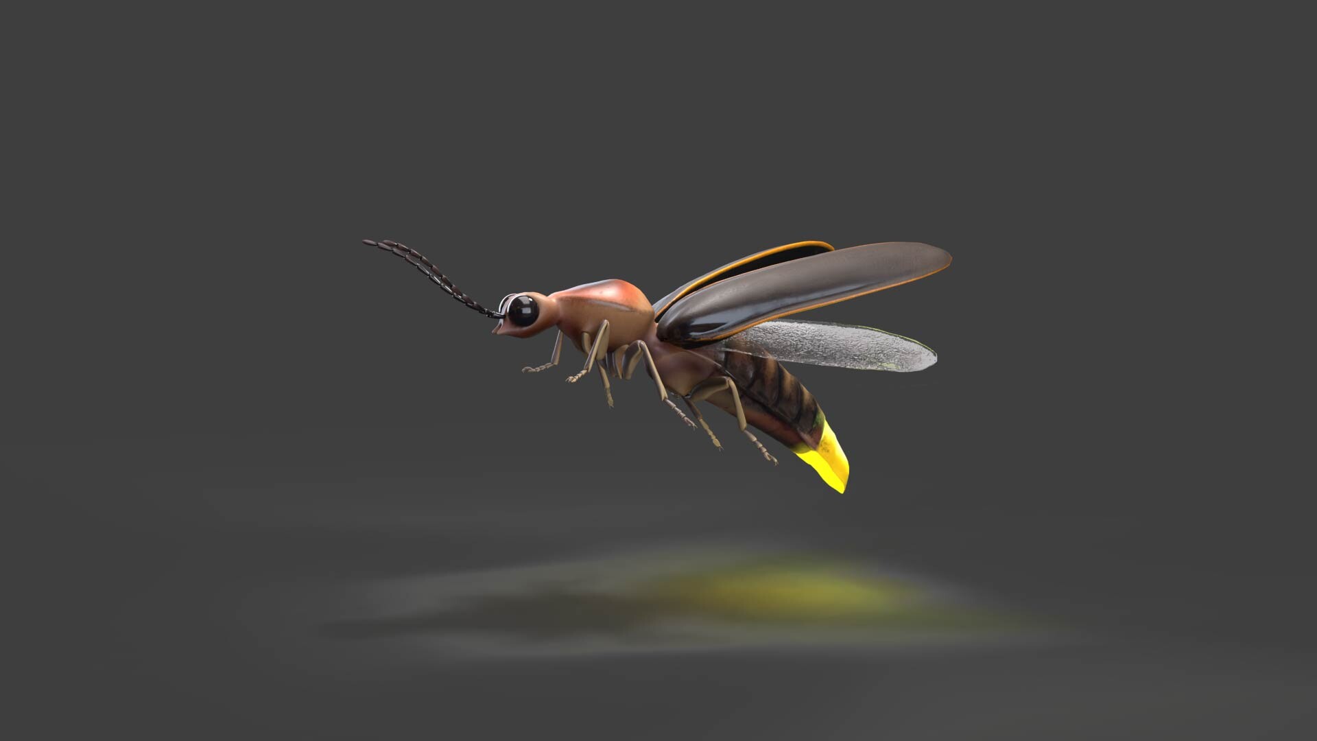 ArtStation - Firefly 3D Model