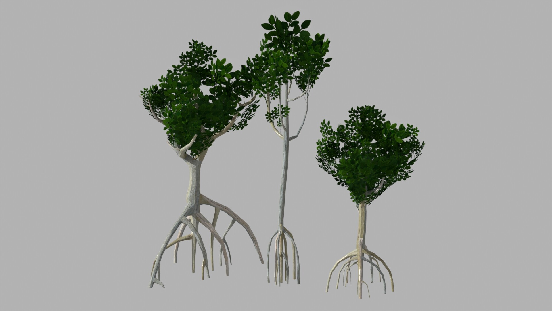 ArtStation - Mangrove Trees - models for Thras Skyrim mod