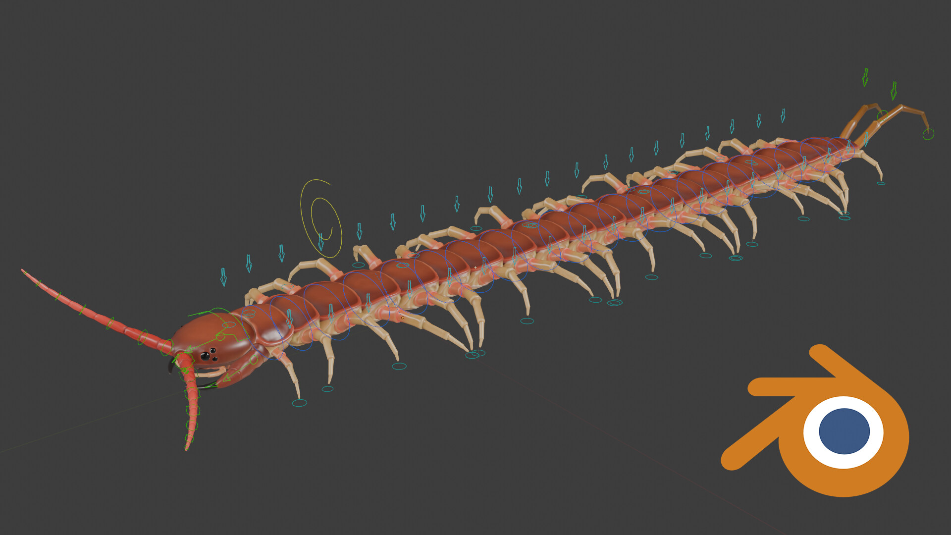 centipede rig