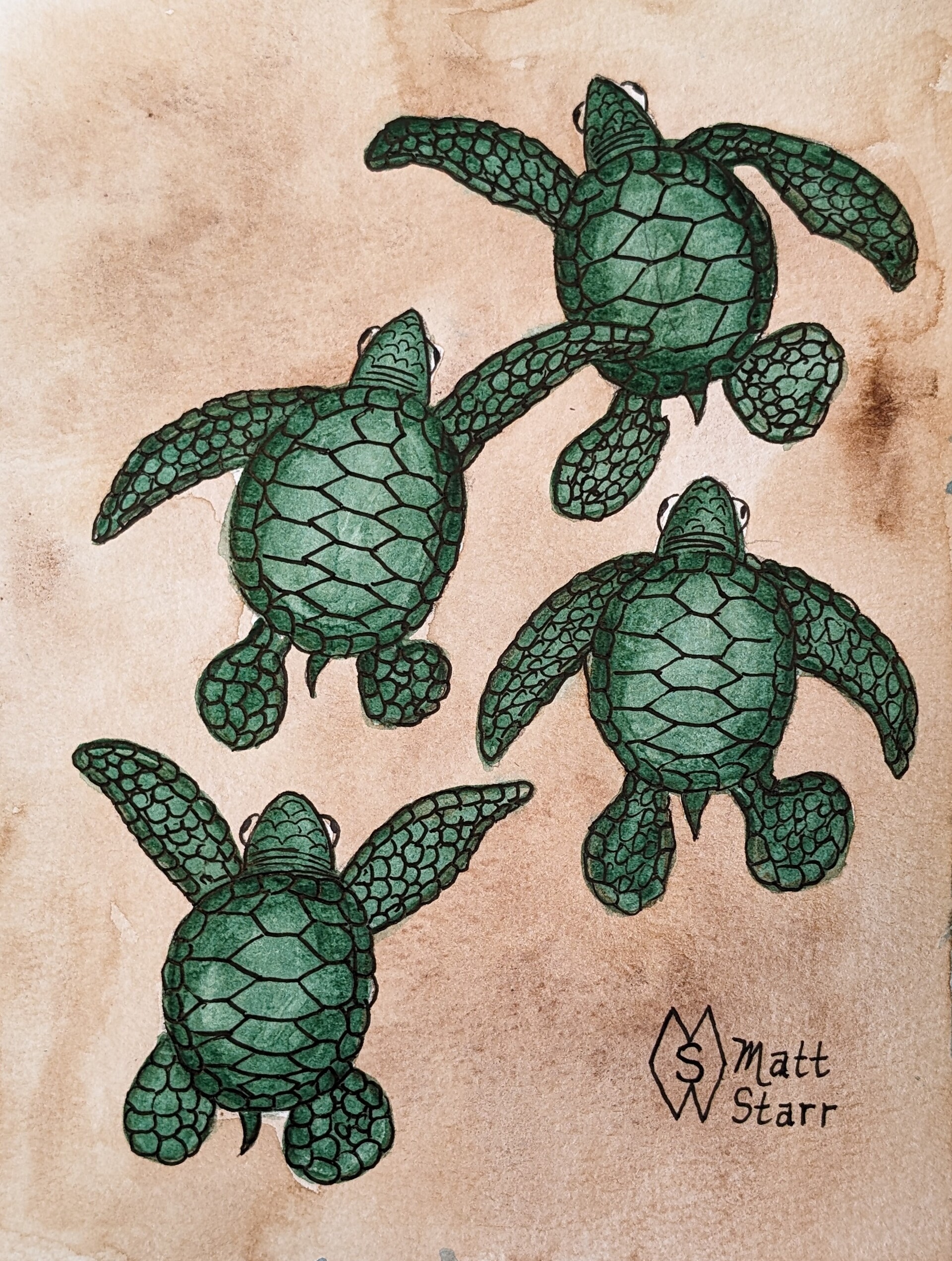ArtStation - Baby sea turtles head to the ocean