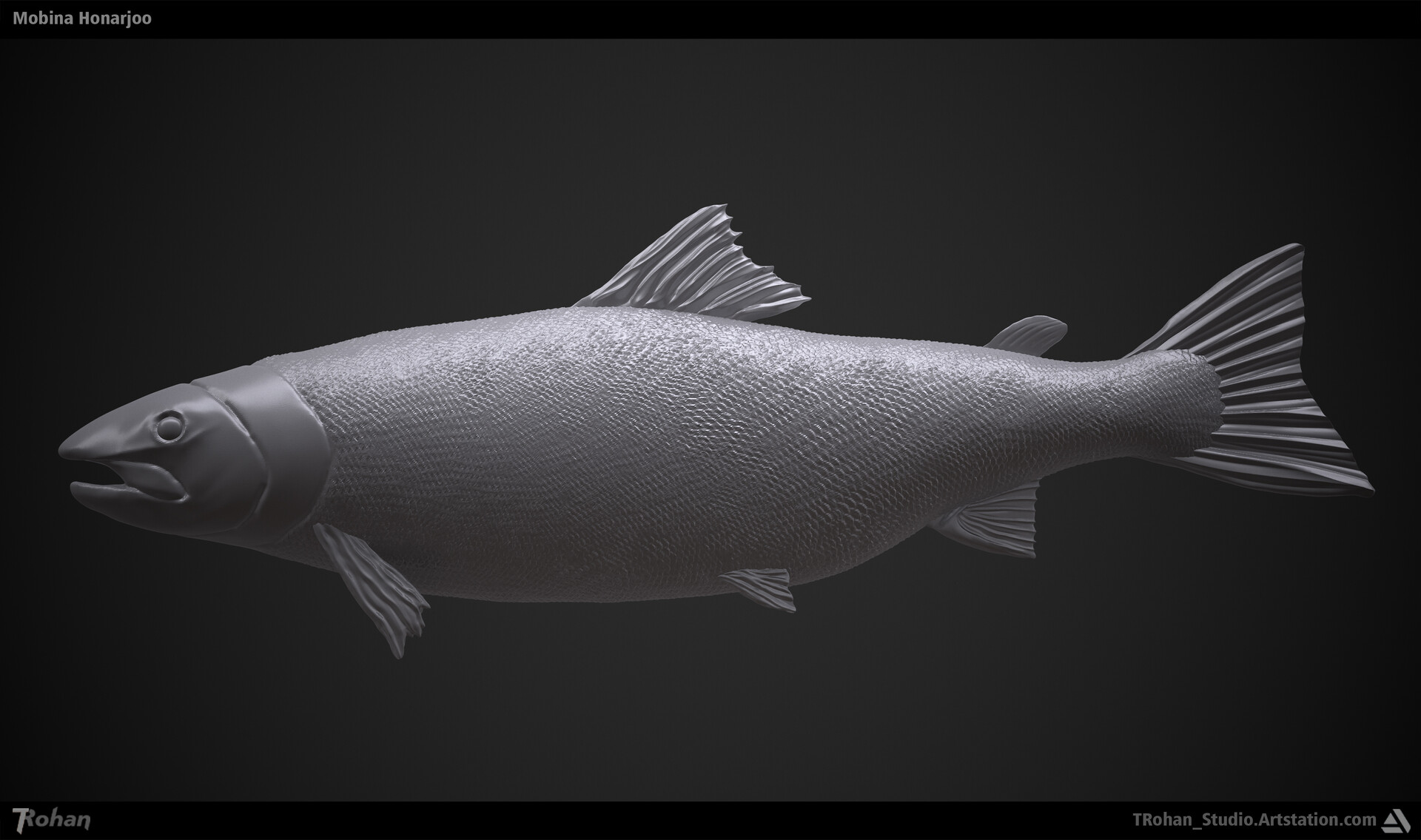 T.Rohan Studio - Fish