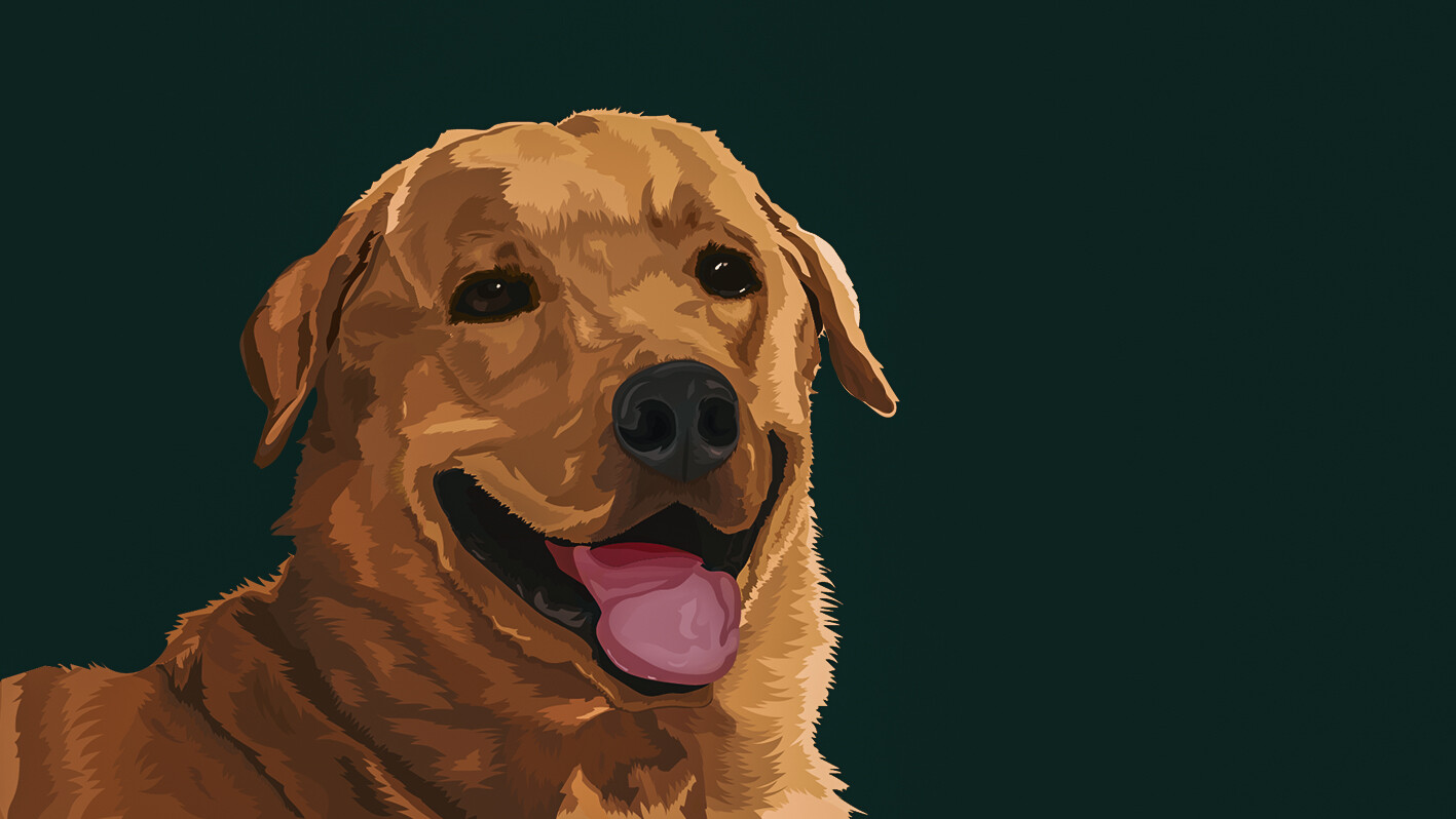 ArtStation - Rocky - Illustration