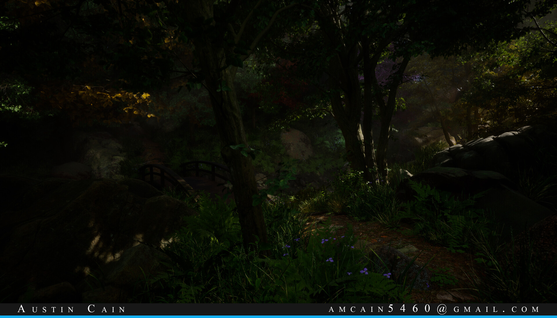 Austin Cain - The Forest