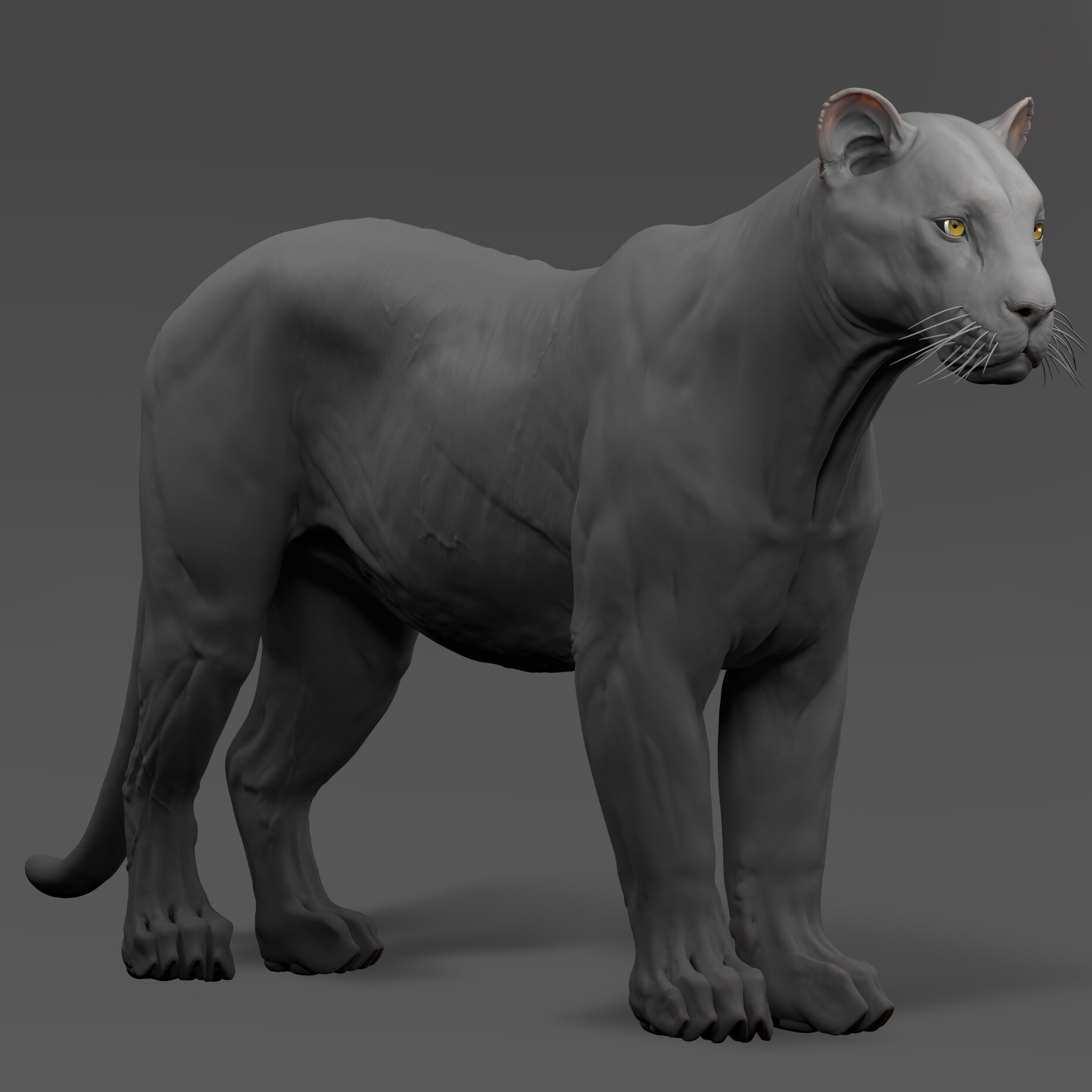 ArtStation - Leopard animal study