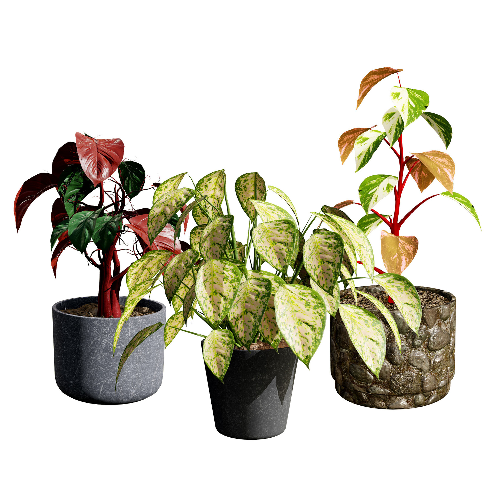 ArtStation - Potted Plants Collection: Mix & Match Greenery